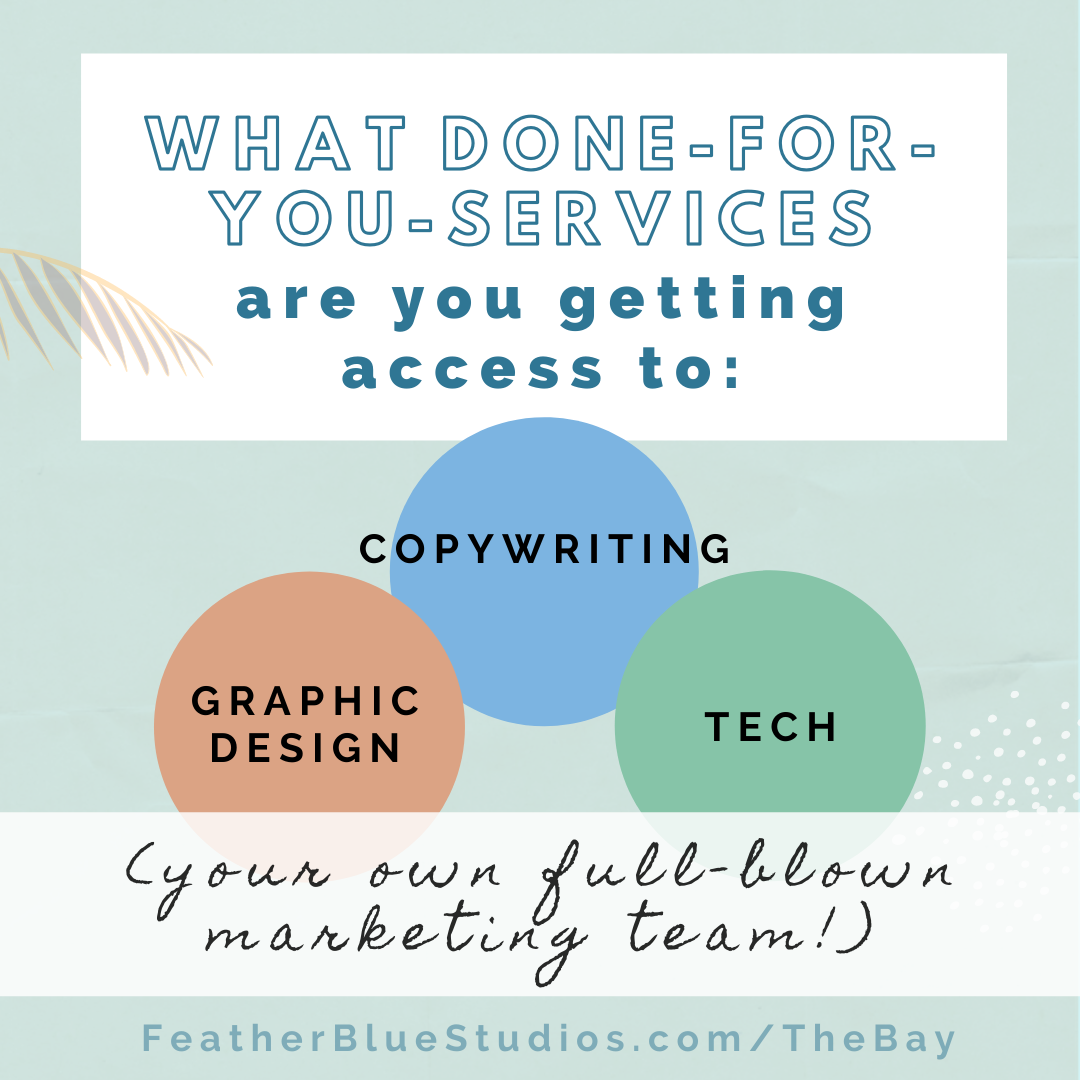 The Small Business BAY (The Bay) is a group program for purpose-driven ...