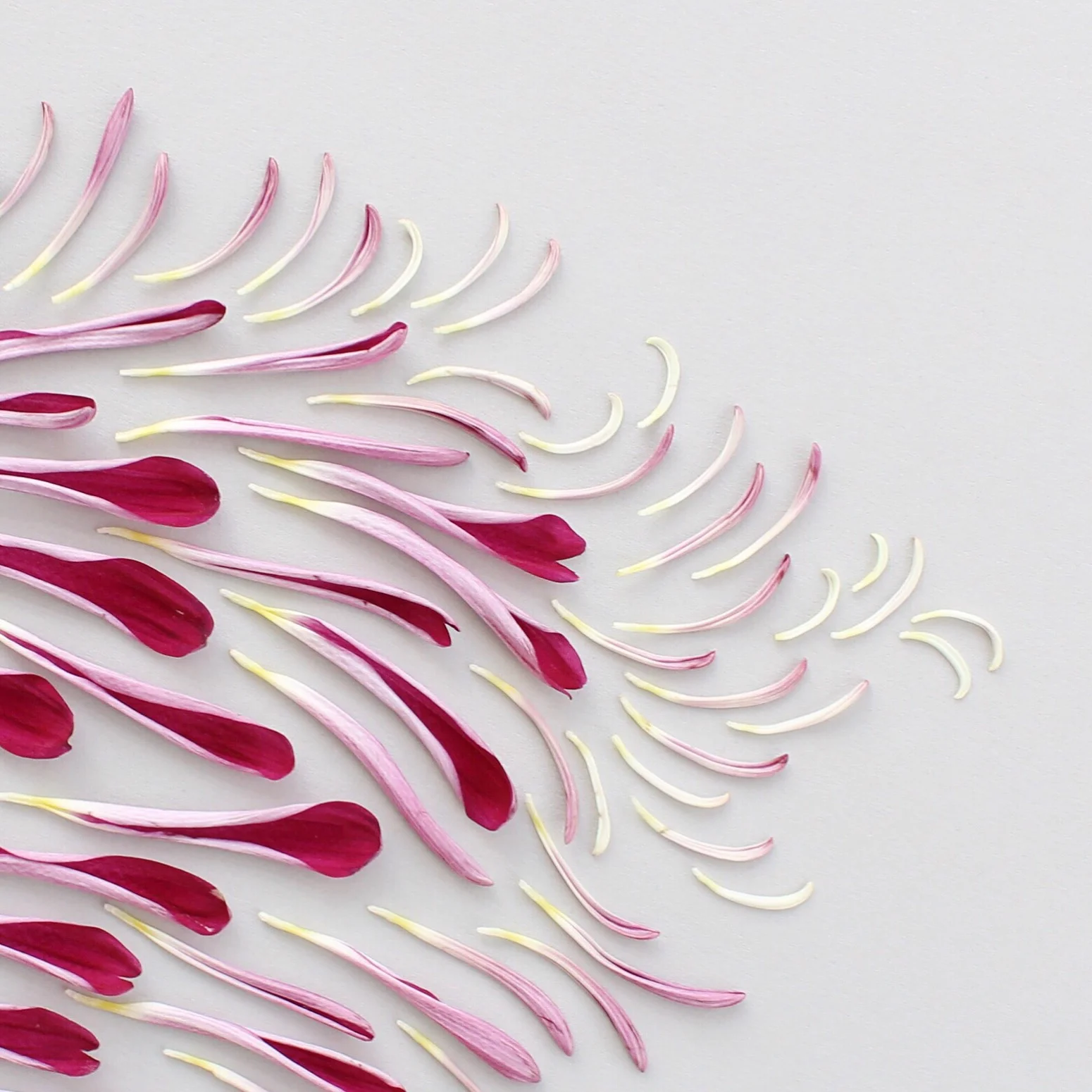 Nature — Caroline South