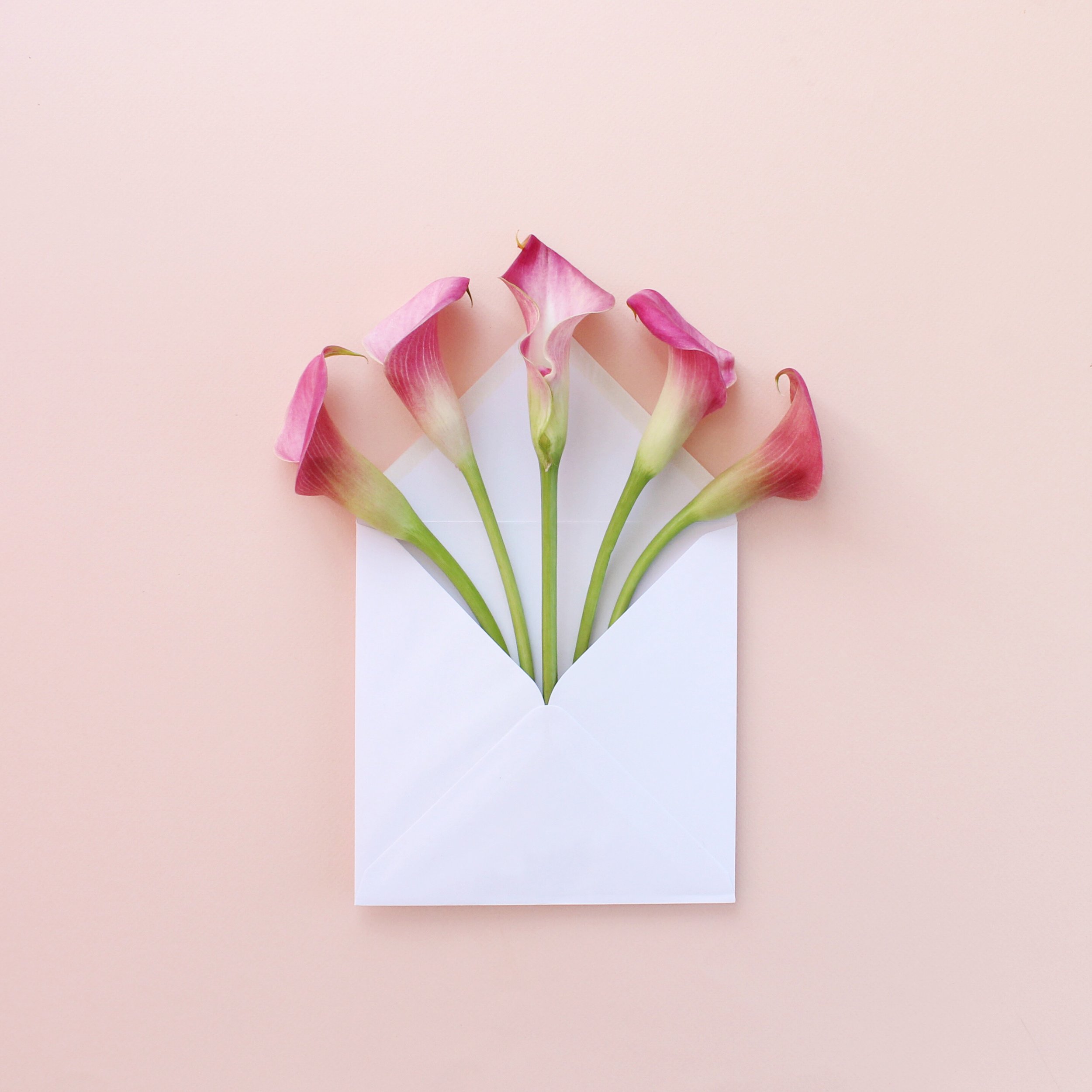 Nature — Caroline South