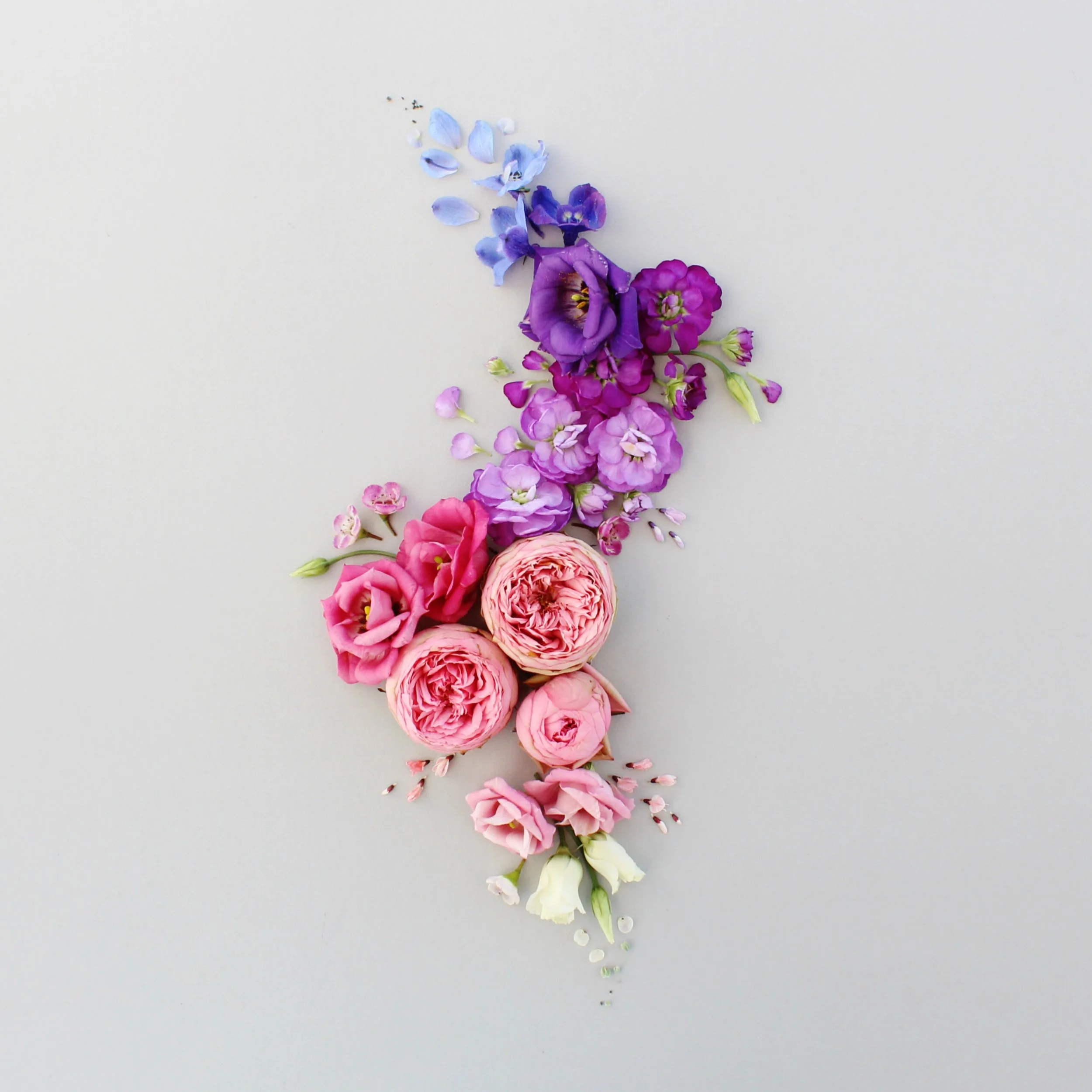 Nature — Caroline South