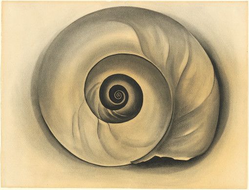 Georgia O'Keeffe - Drawings — Jeannine Cook