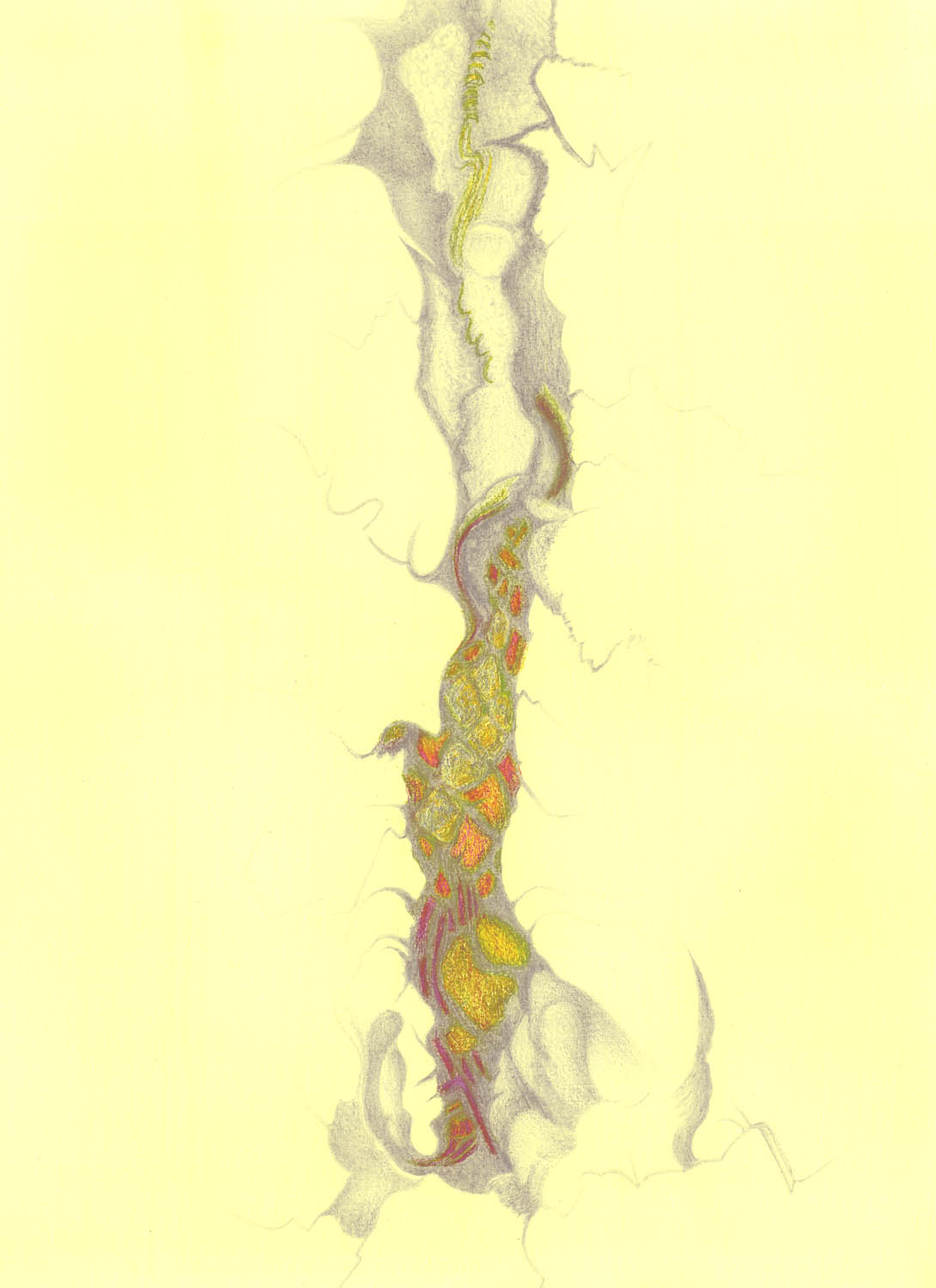 Miro's Pine Tree..Le sapin de Miro..El pino de Miro.... — Jeannine Cook