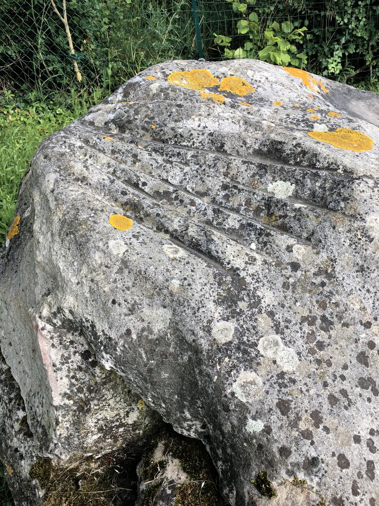 Stones, Fossils, Archaeology and Art — Jeannine Cook