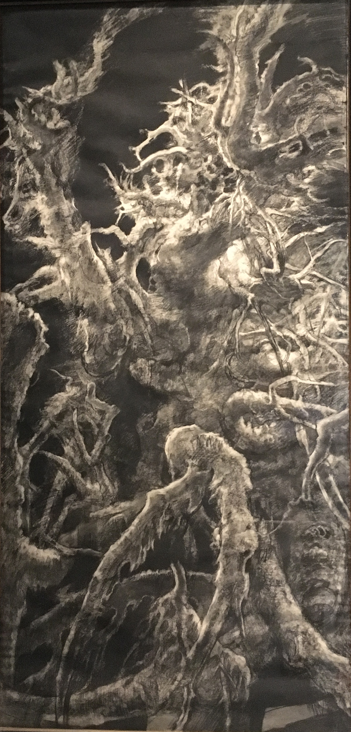 Discovering Hyman Bloom — Jeannine Cook