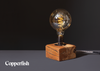 Copperfish Lighting Company — Together We Create