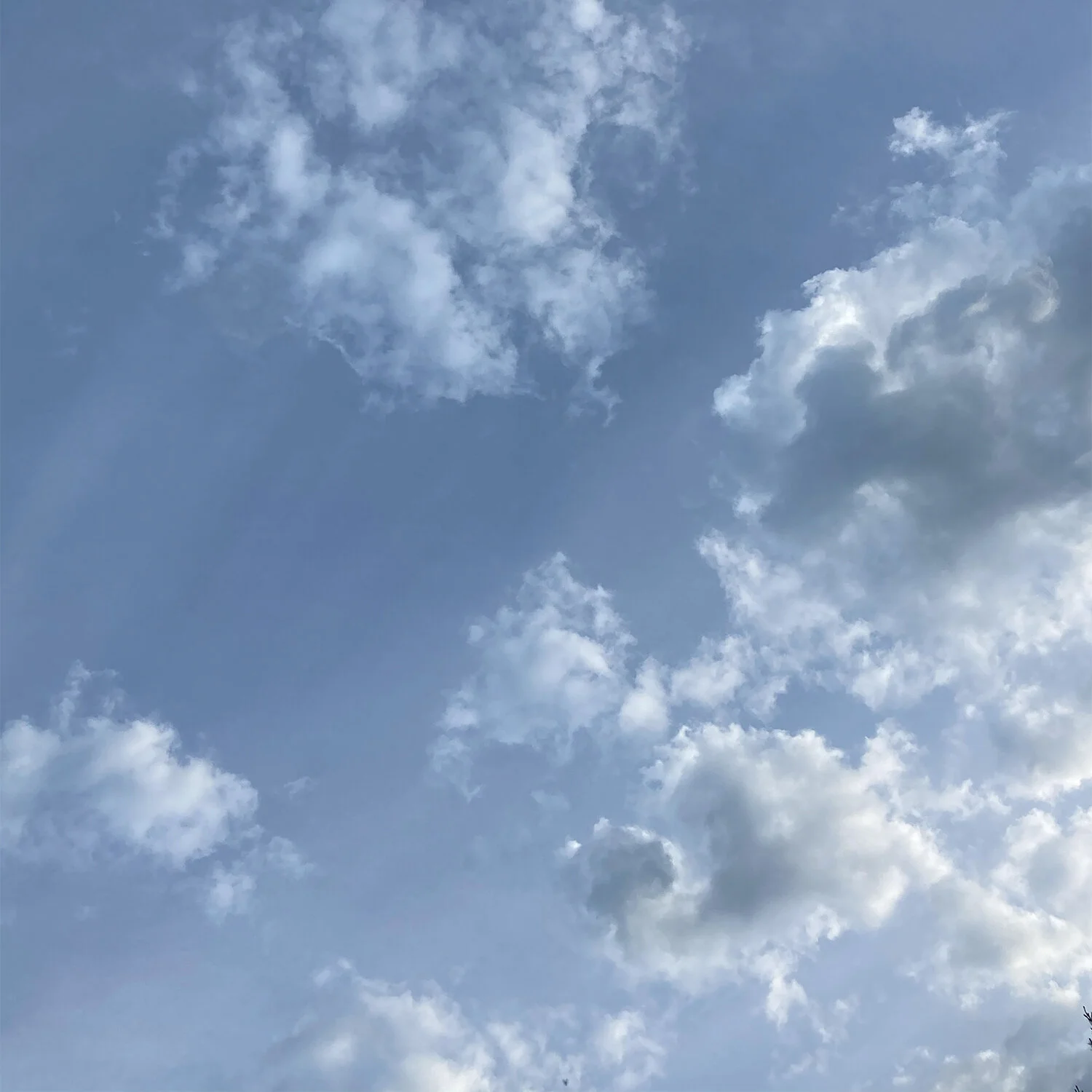 Events — SPEEDWELL projects