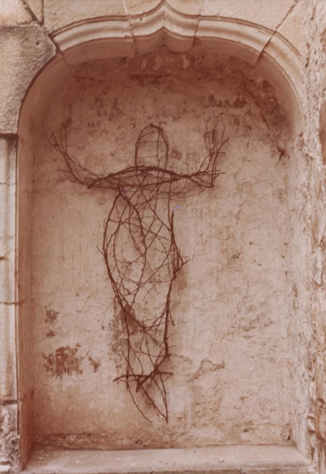 Ana Mendieta — SPEEDWELL Contemporary