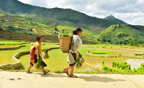 Developed and Less Developed Countries: Understanding the Differences ...