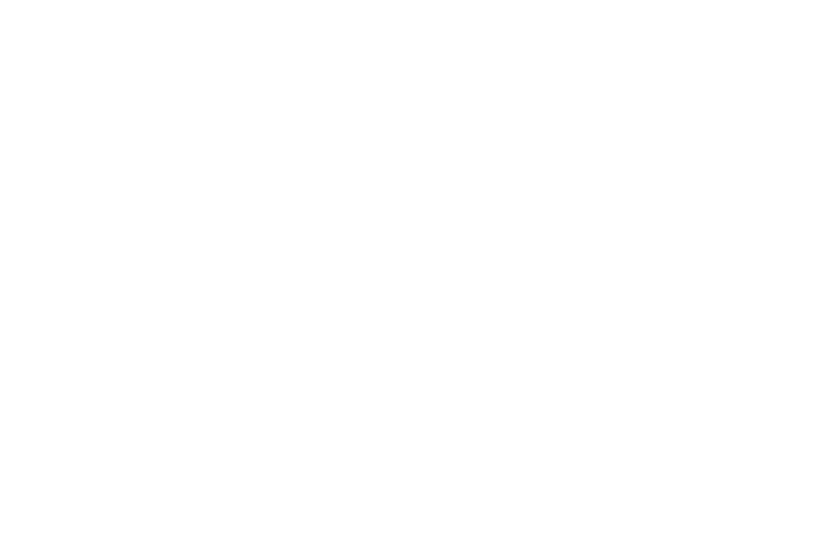 Lost In Fargo