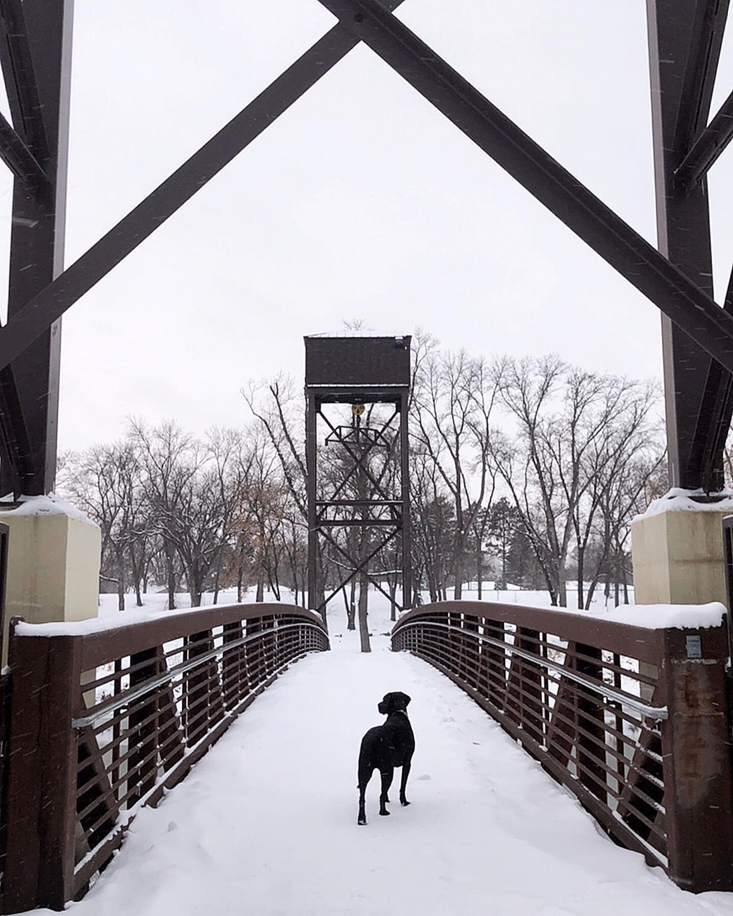 Lost In Fargo