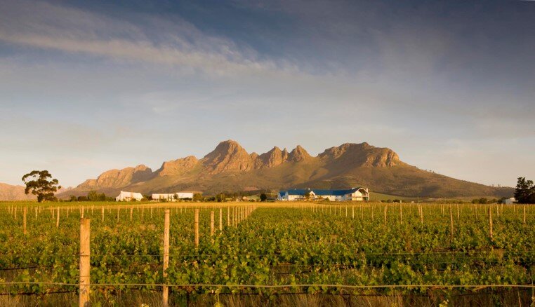 Portfolio — Baobab Wines