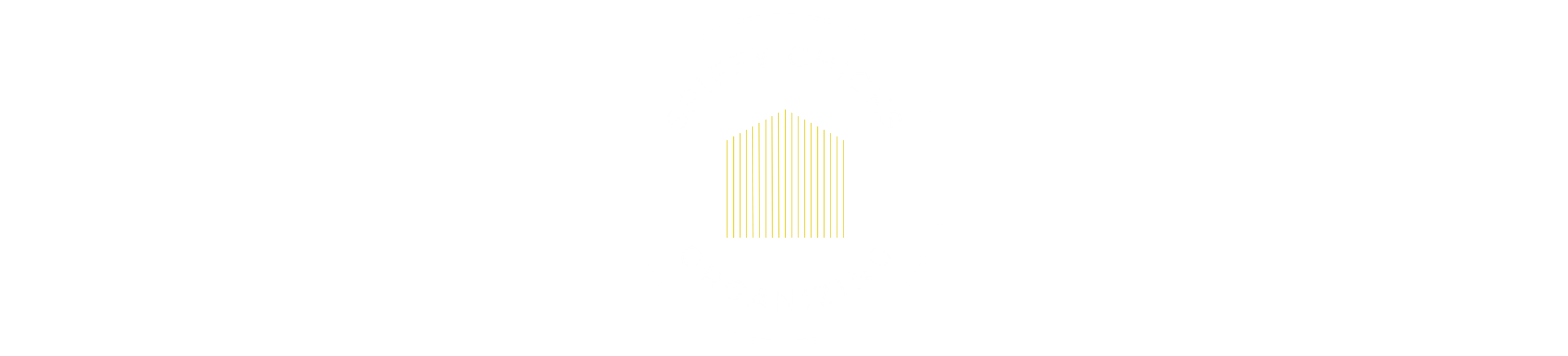 Spiffy Chicks | Professional Organizing