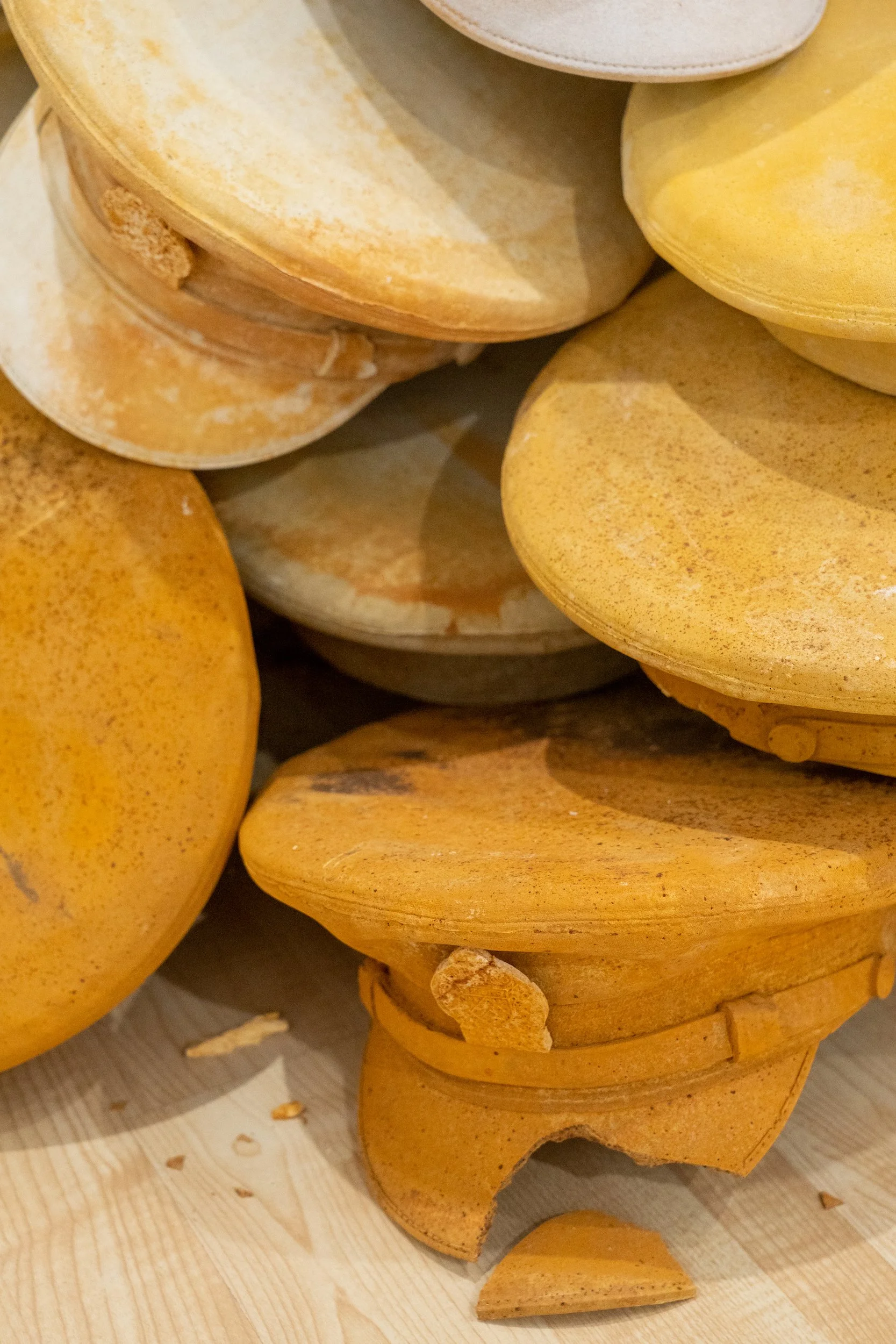 Michelle Cieloszczyk