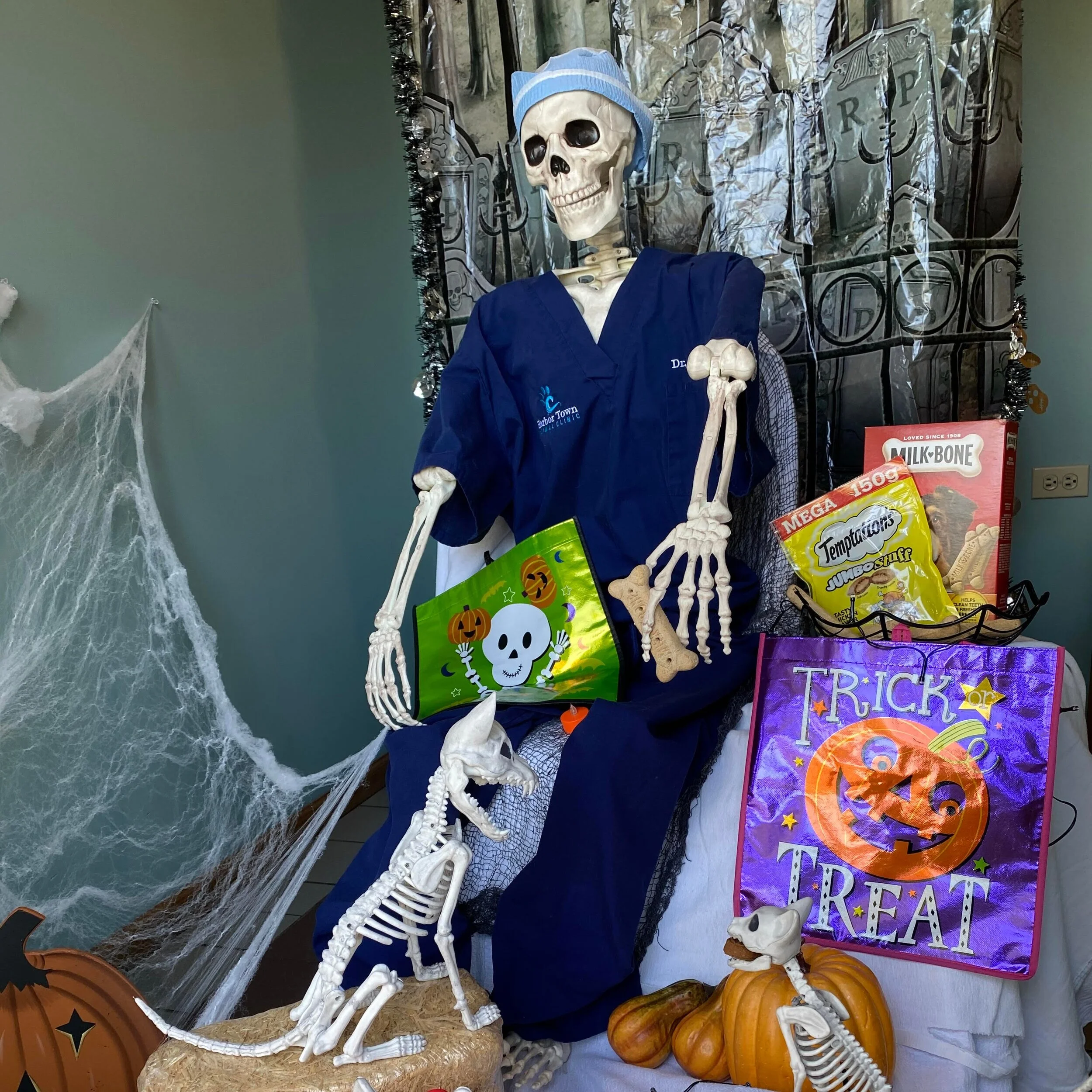 Shake Rattle & Stroll — Main Street Vermilion