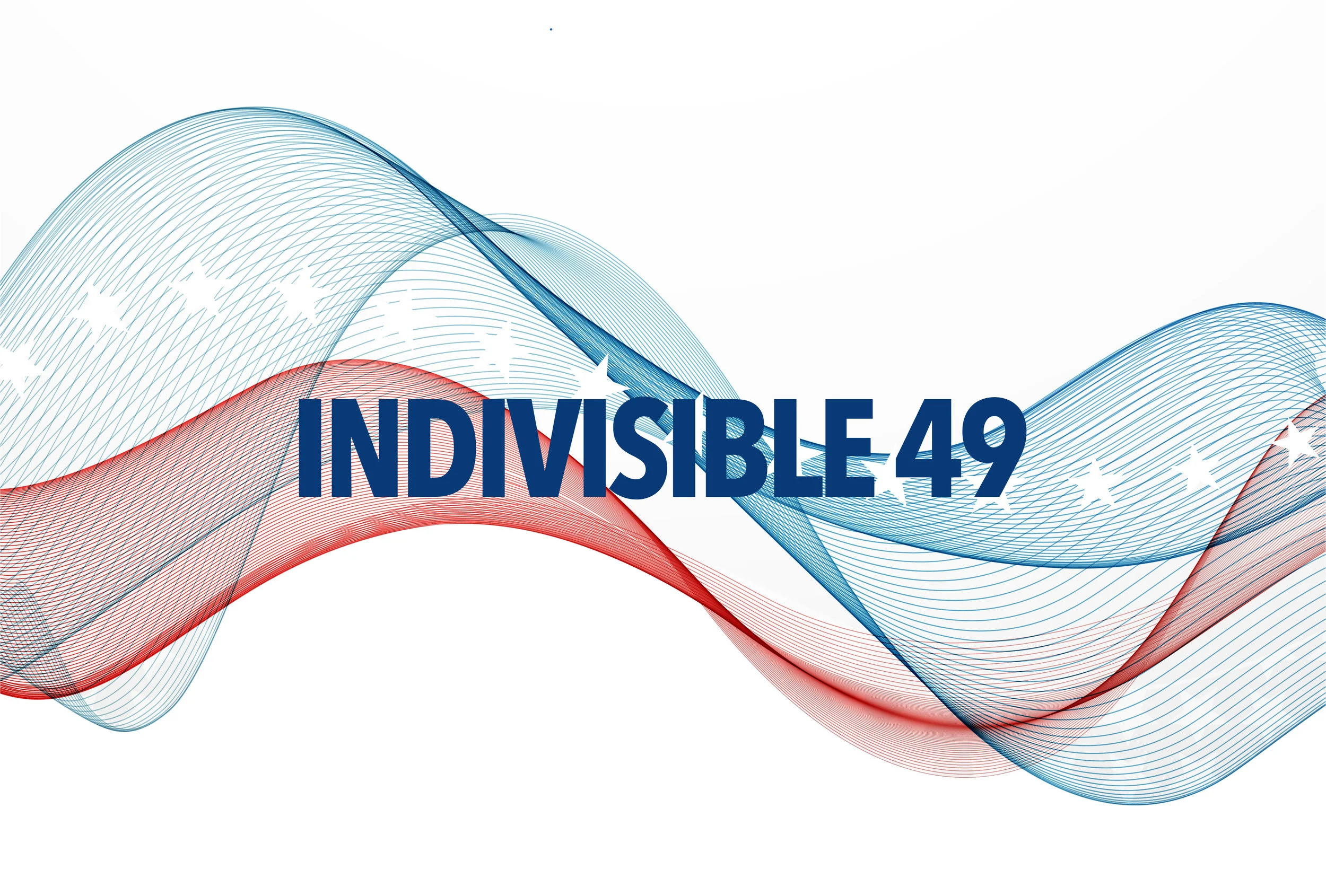 Indivisible49