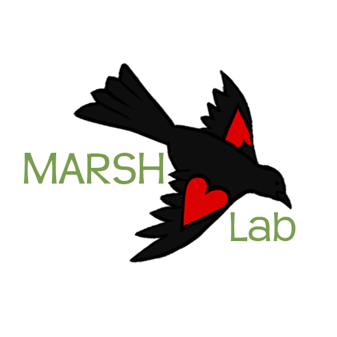 Allison Farrell — MARSH Lab