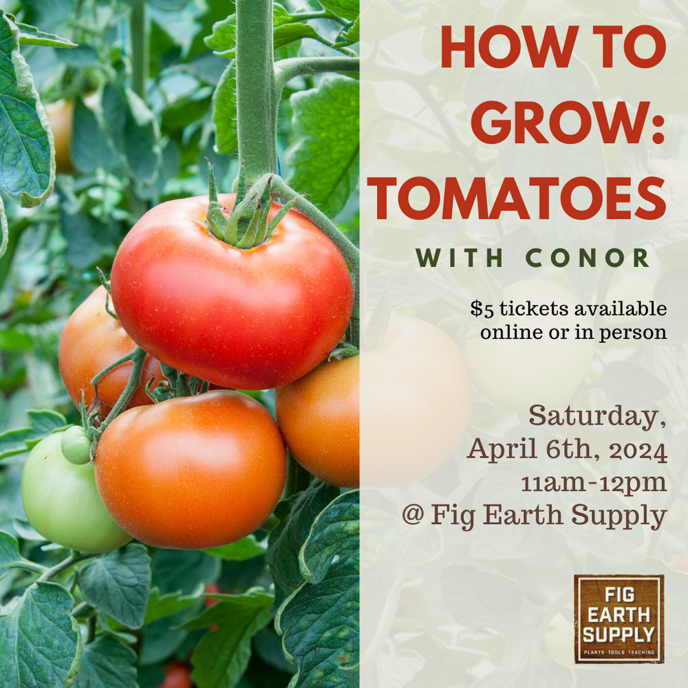 Fig Earth Supply — PAST FAVORITES