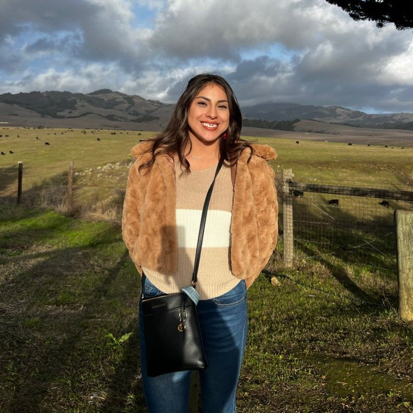 The Silent Epidemic: Missing, Murdered and Exploited Indigenous and ...