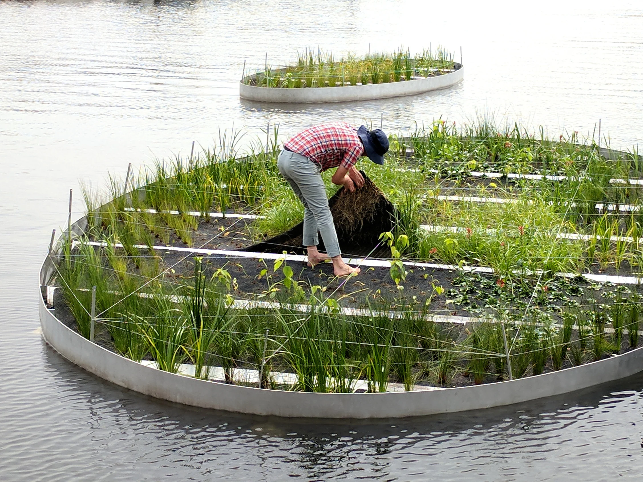 The Wharf's 7th Street Park and Recreation Pier — Michael Vergason ...