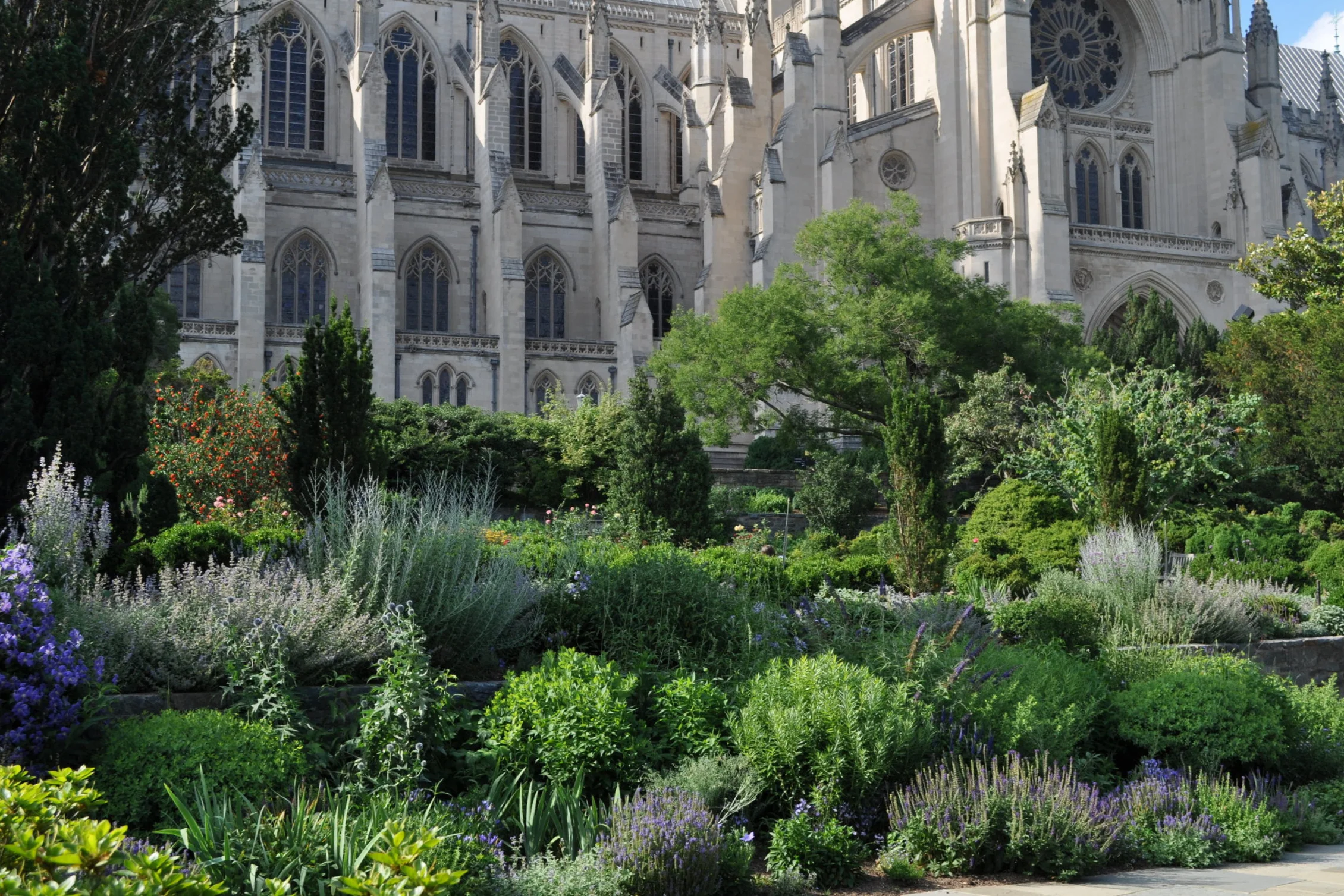 Washington National Cathedral — Michael Vergason Landscape Architects, Ltd.
