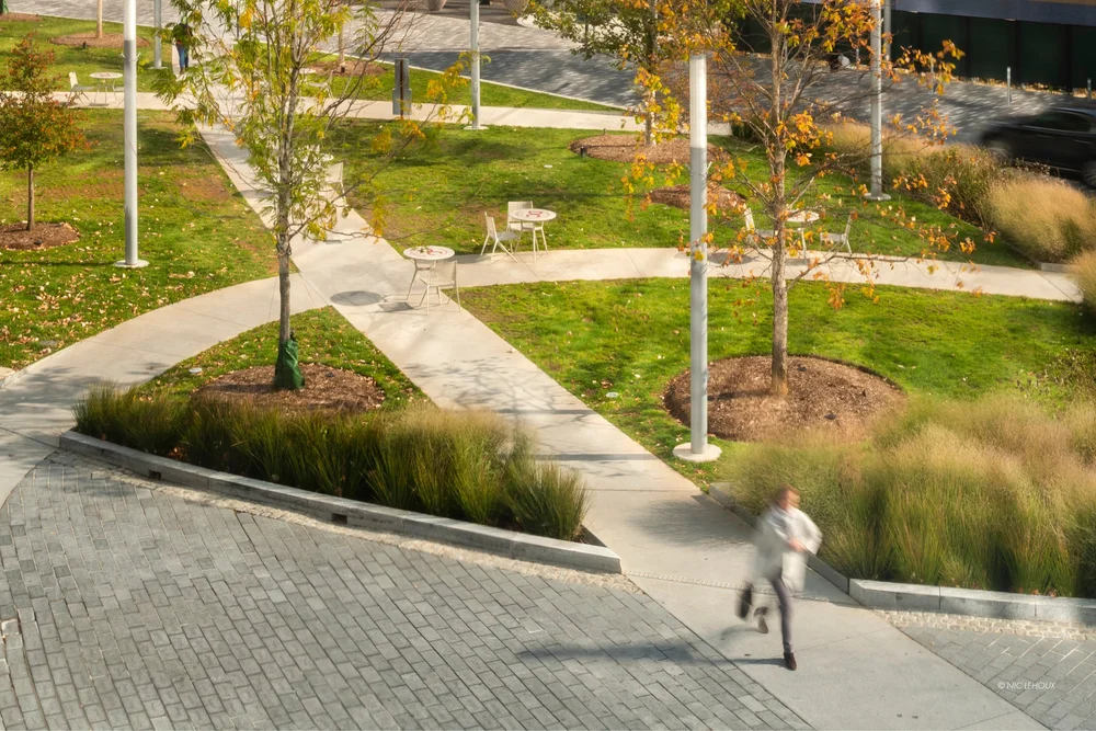 The Wharf | Washington, DC Waterfront Landscape Architecture | MVLA ...