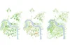 Harvard University, Allston Campus — Michael Vergason Landscape ...