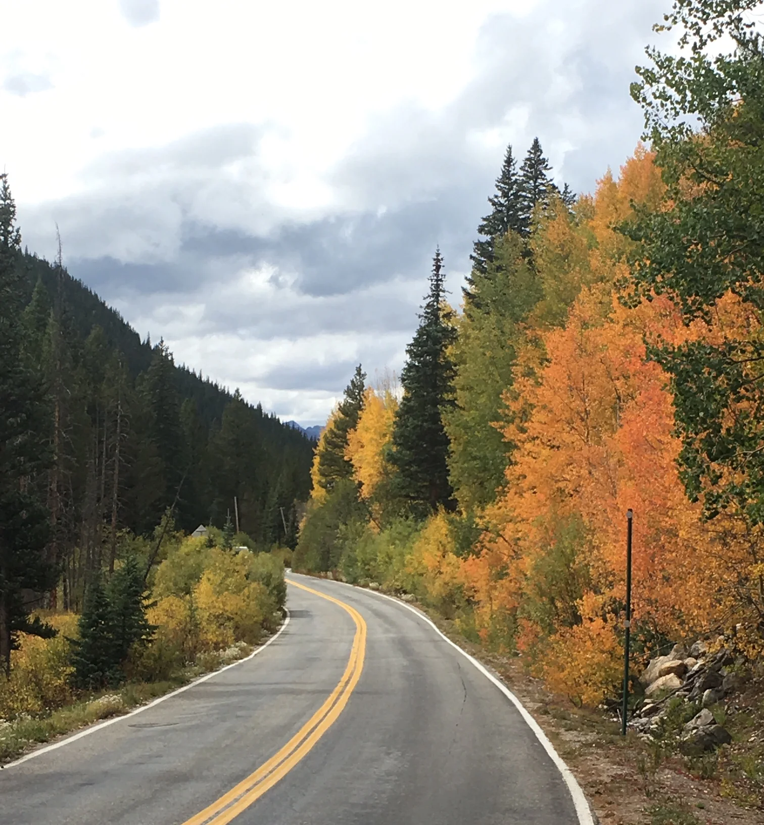 Fall Foliage 2017 — Independence Pass Foundation
