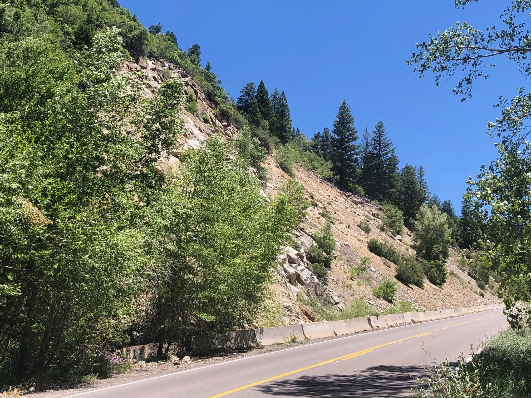 Biogeography Photo Project — Independence Pass Foundation