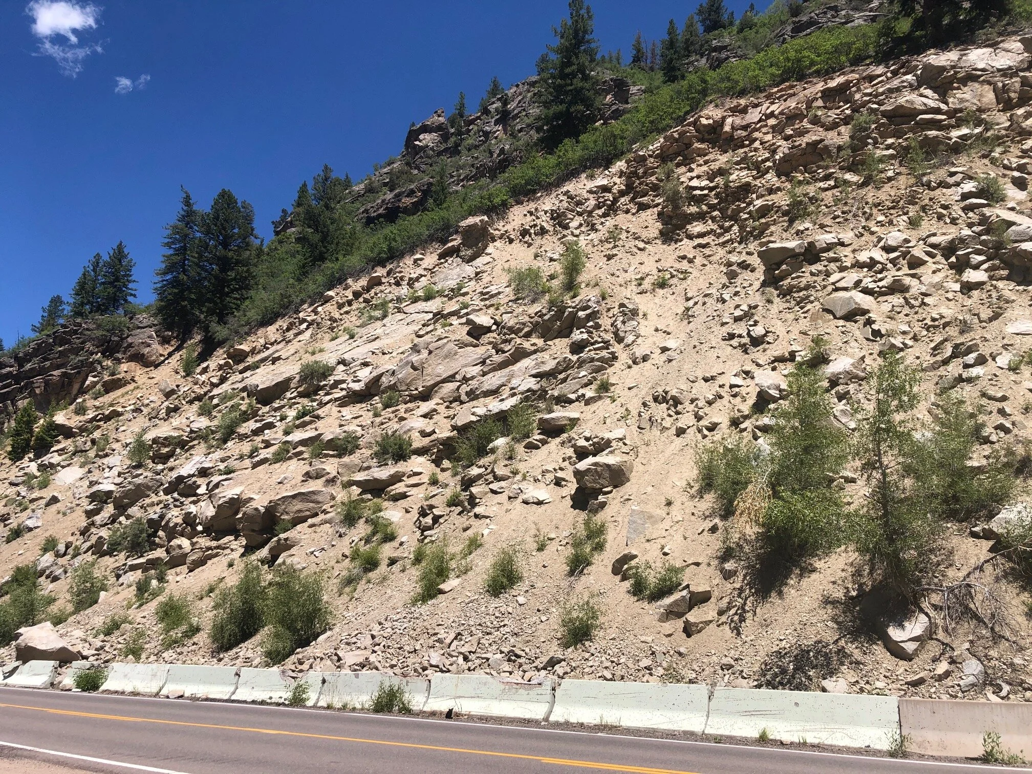 Biogeography Photo Project — Independence Pass Foundation