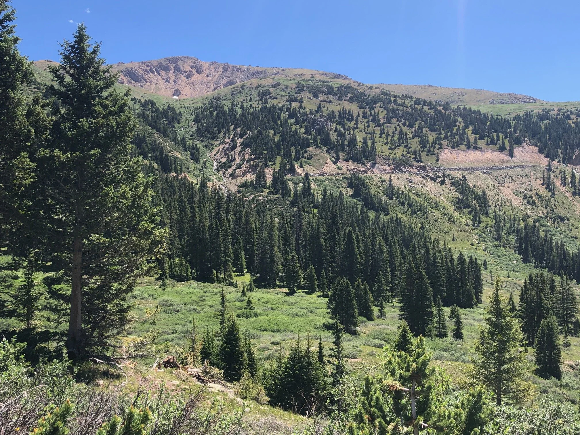 Biogeography Photo Project — Independence Pass Foundation