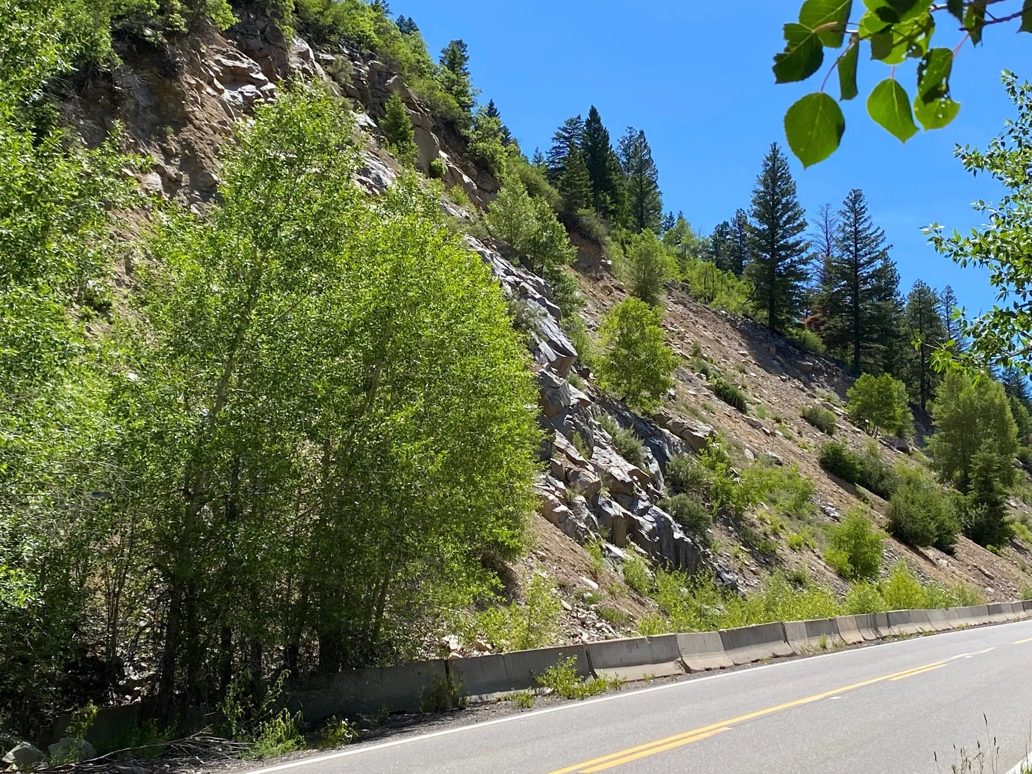 Biogeography Photo Project — Independence Pass Foundation