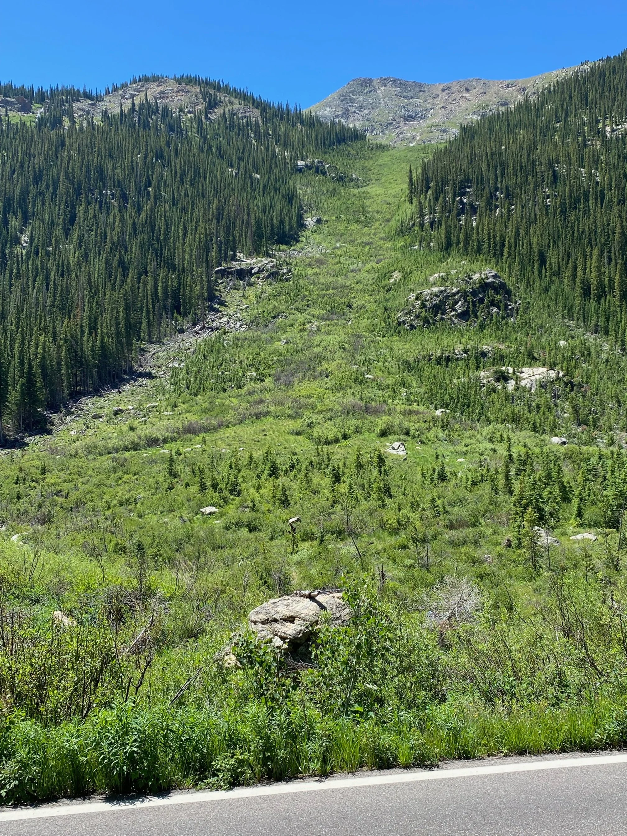 Biogeography Photo Project — Independence Pass Foundation