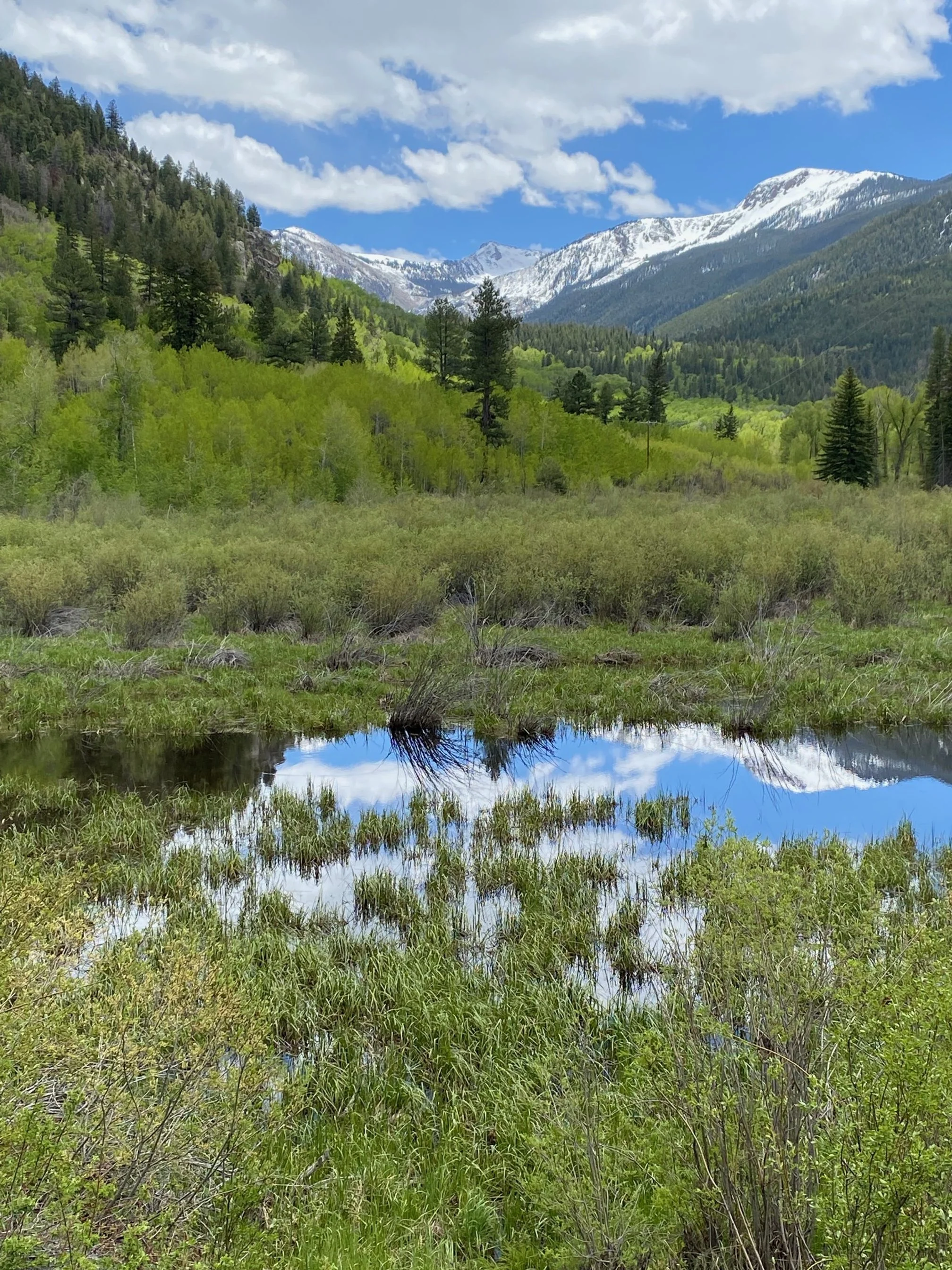 Month by Month — Independence Pass Foundation