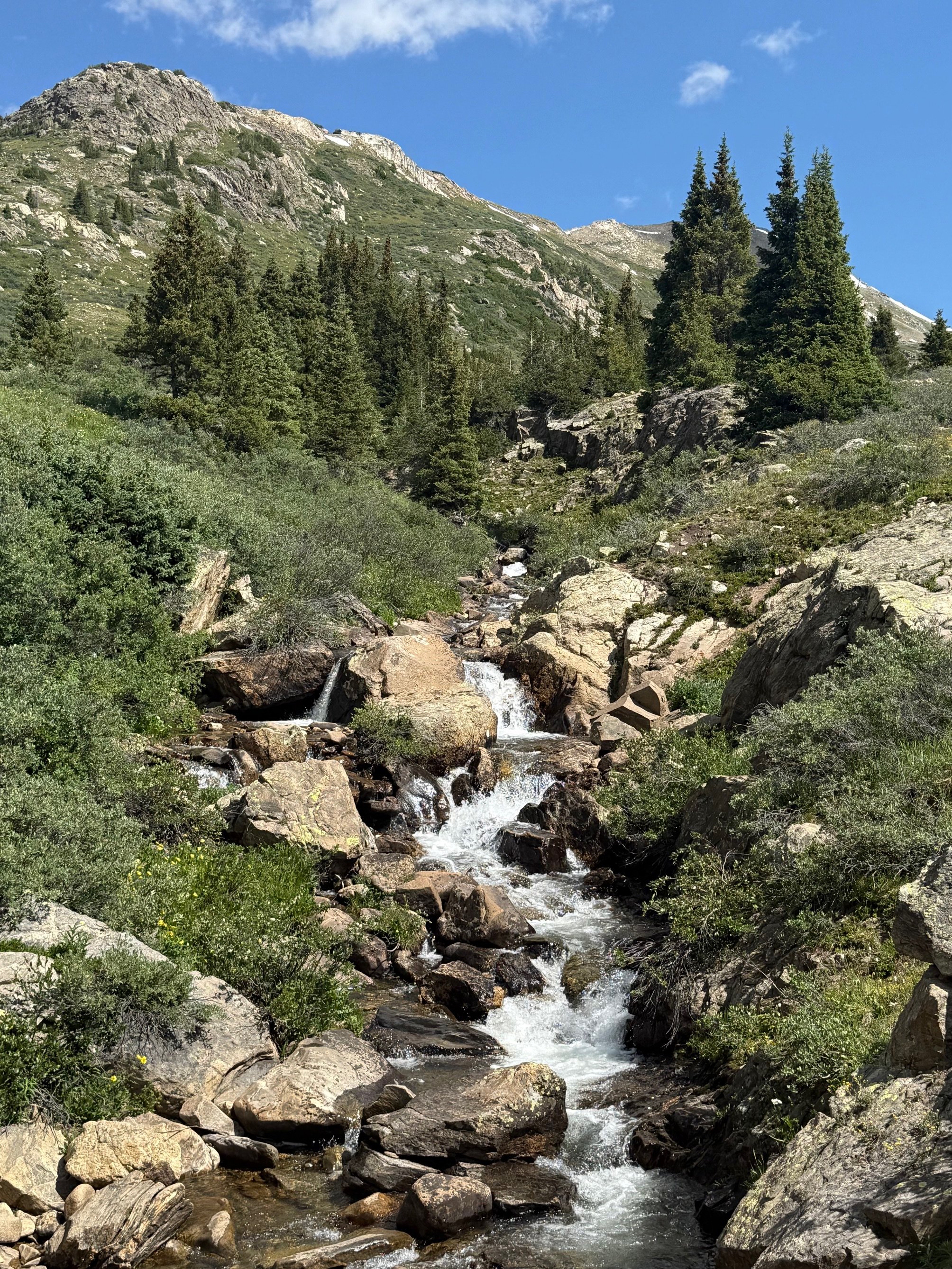 Independence Pass Foundation