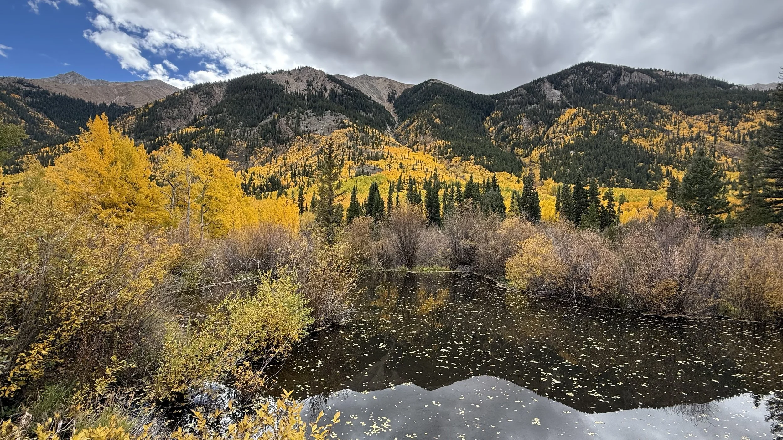 Independence Pass Foundation