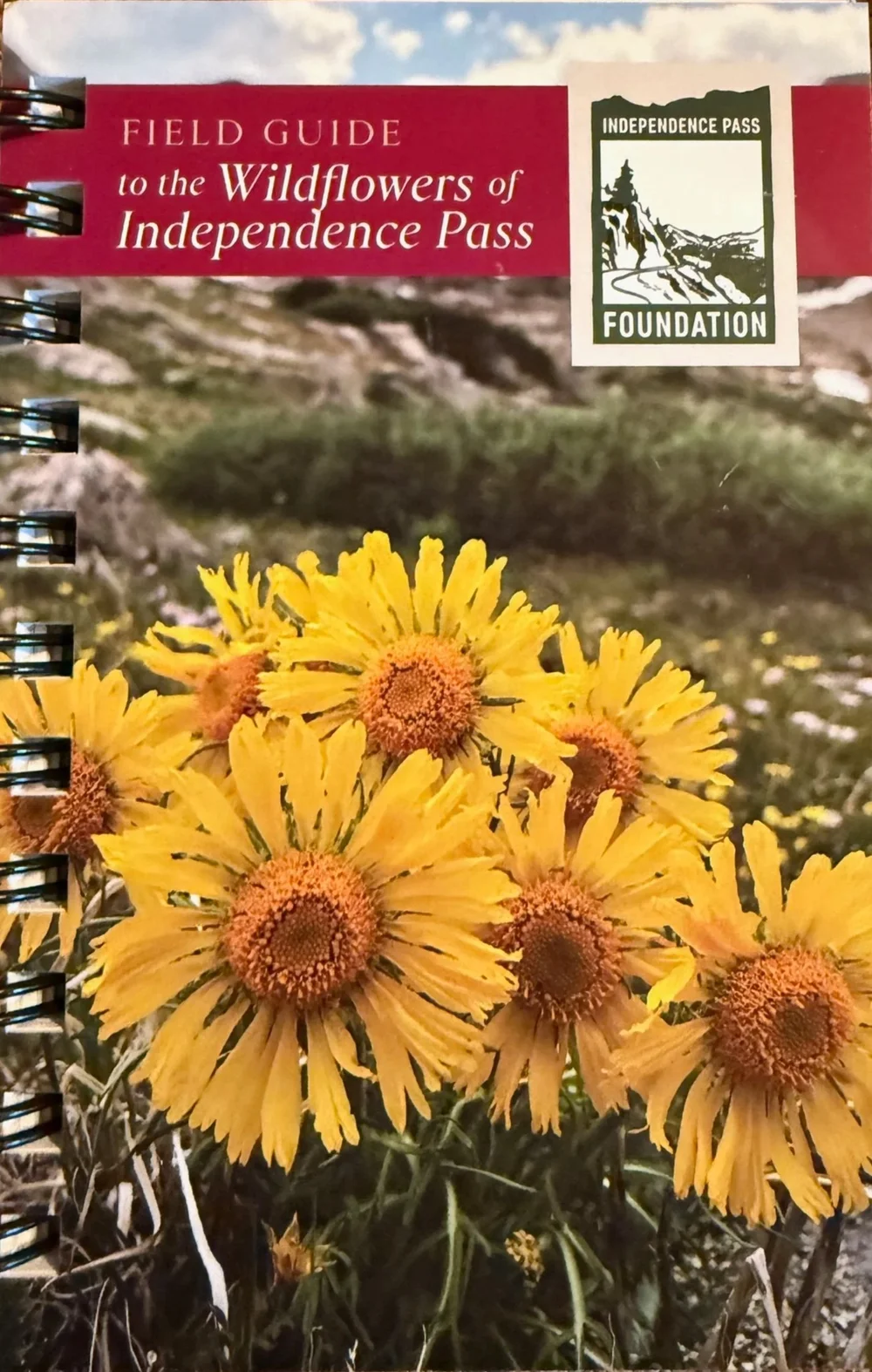 2025 Wildflower Checklist — Independence Pass Foundation
