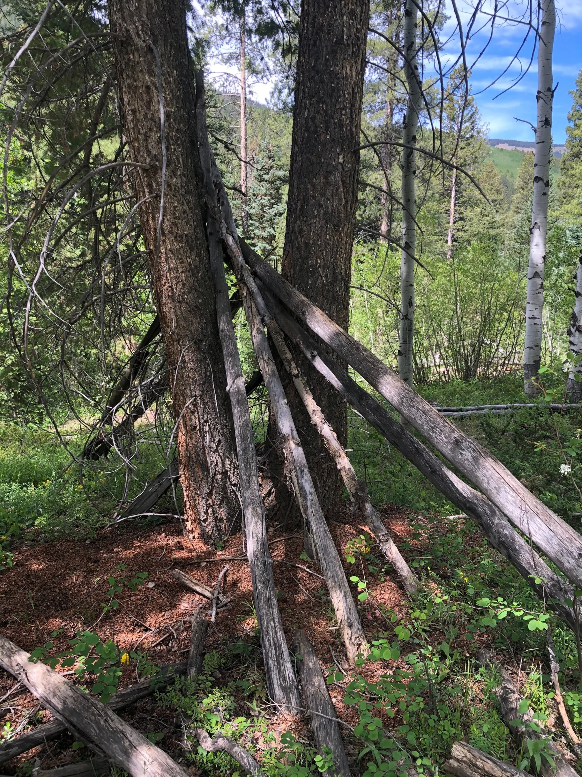 History — Independence Pass Foundation