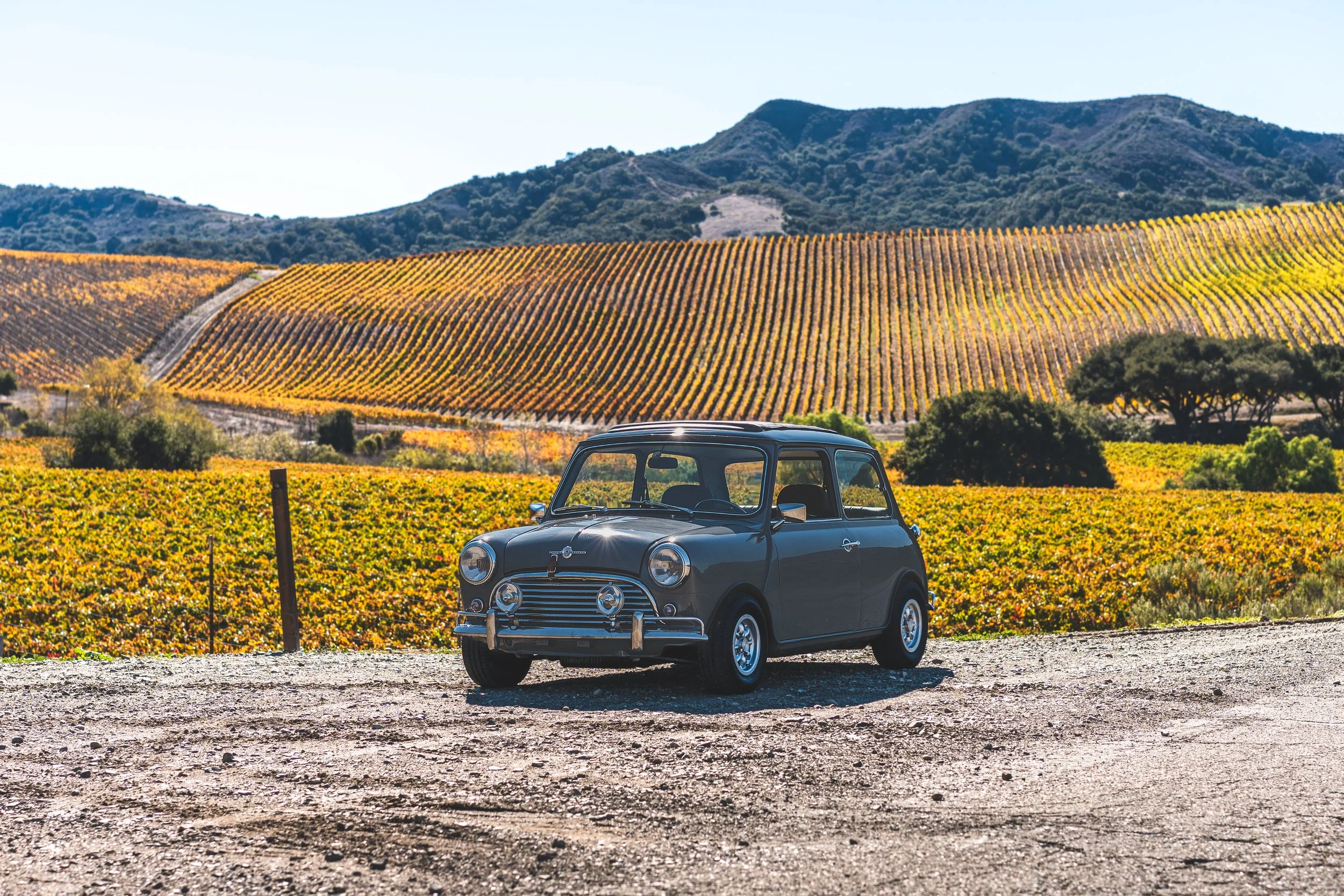 CLASSIC MINI COOPERS FOR SALE — Super Coopers