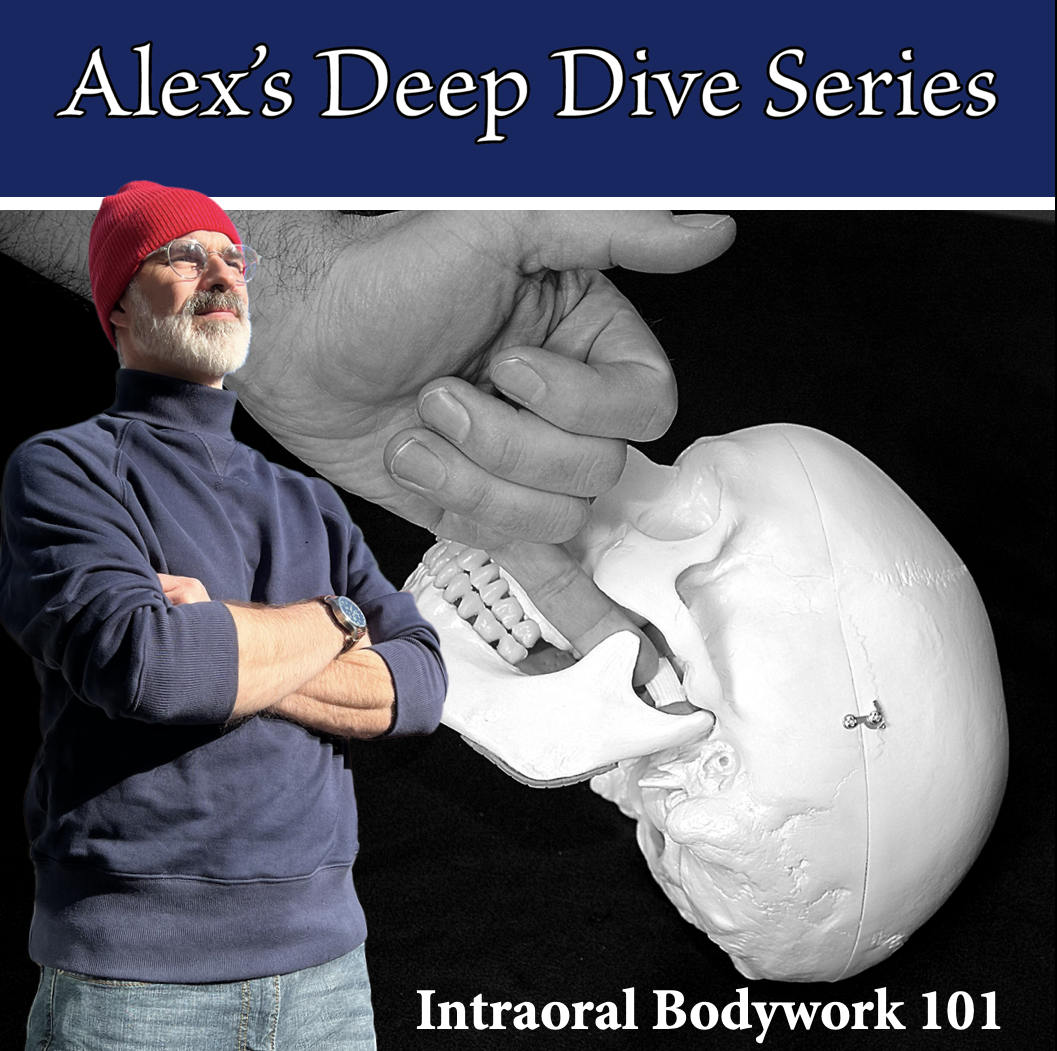 Workshops: Integration Nation Bodywork -- Integrative Bodywork for the ...