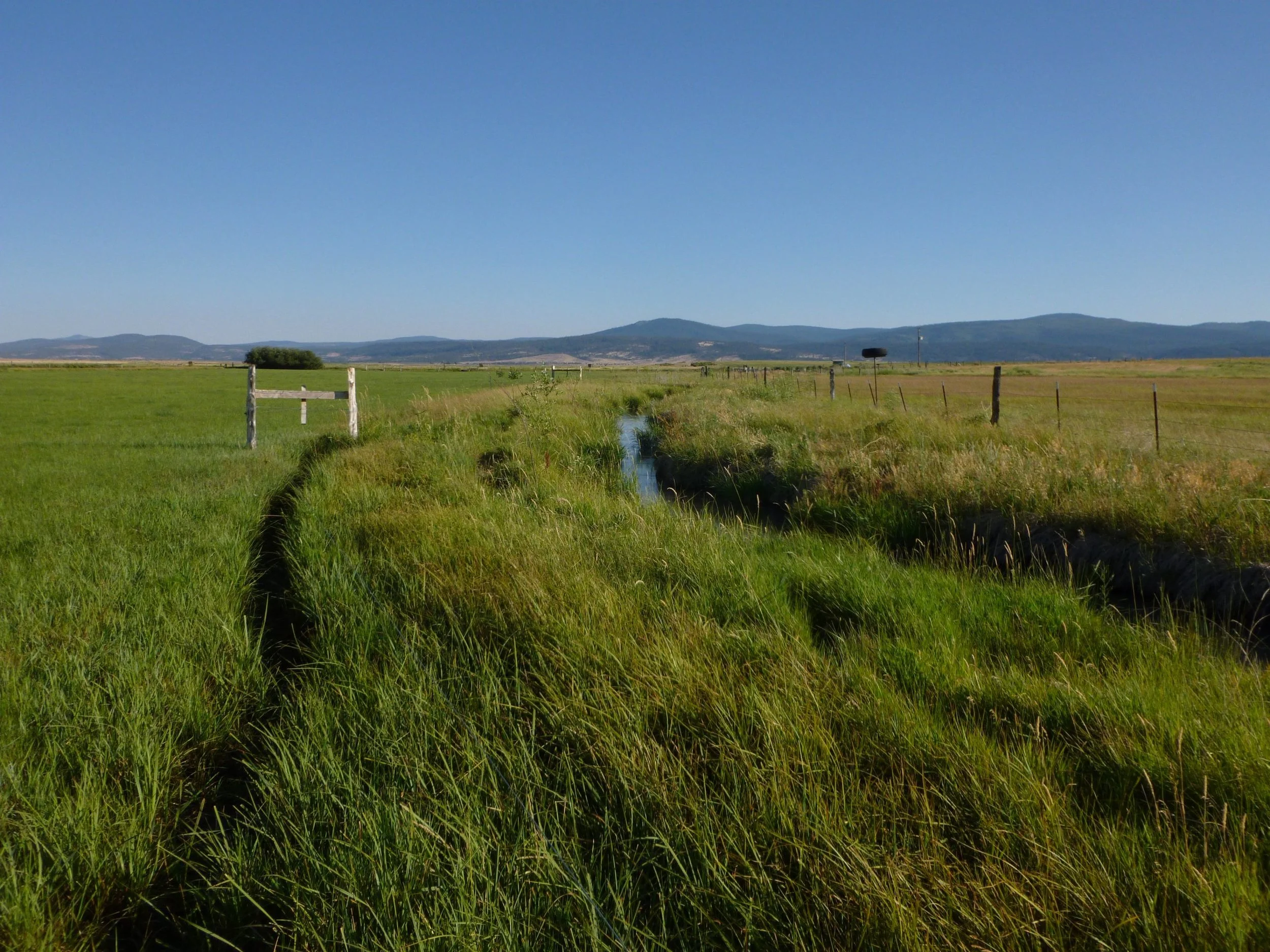 Low-Tech Methods to Restore Streams: A Factsheet — Partners in the Sage