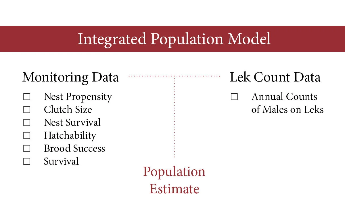 What Are Integrated Population Models? — Partners in the Sage