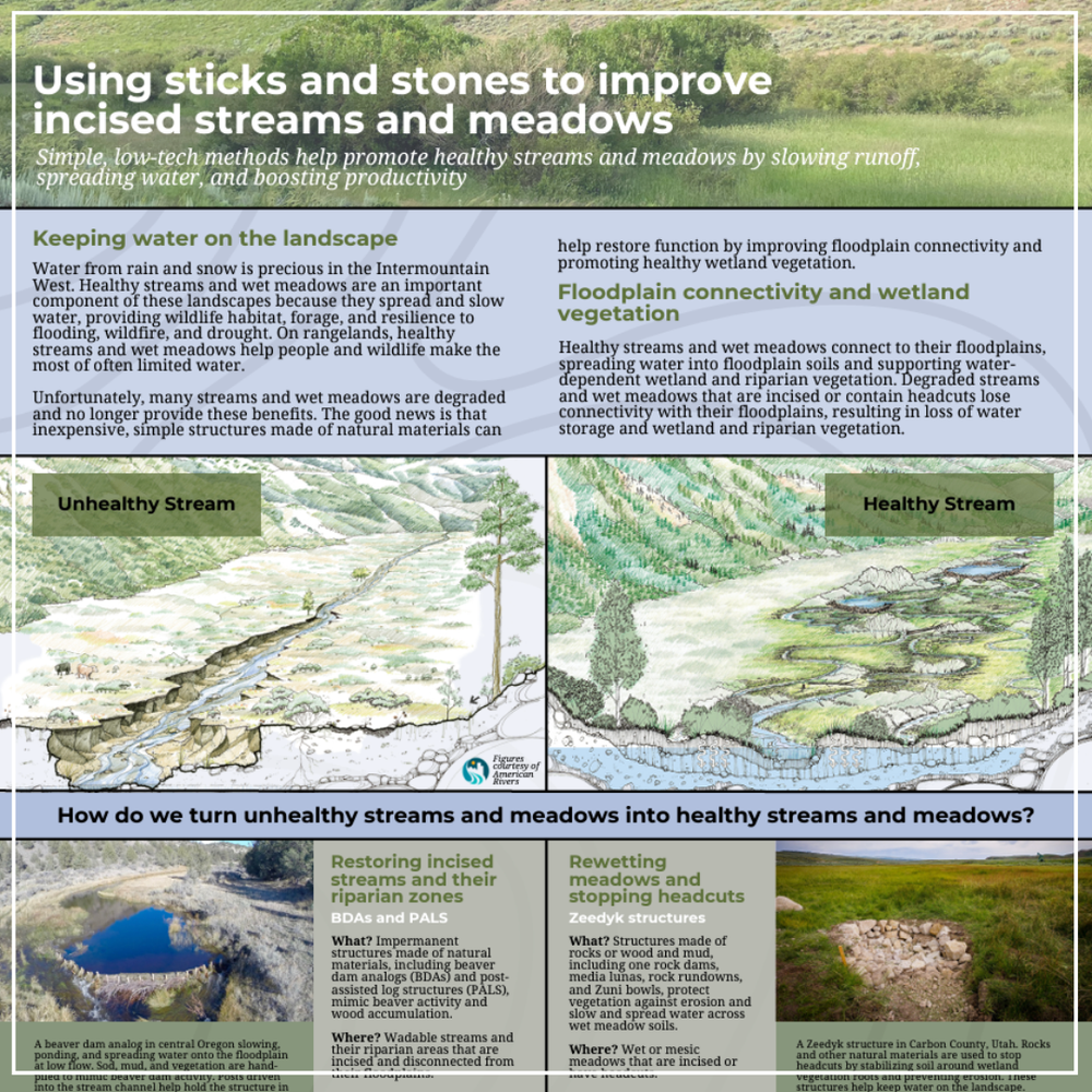 One Stop Shop for Zeedyk Resources — Partners in the Sage