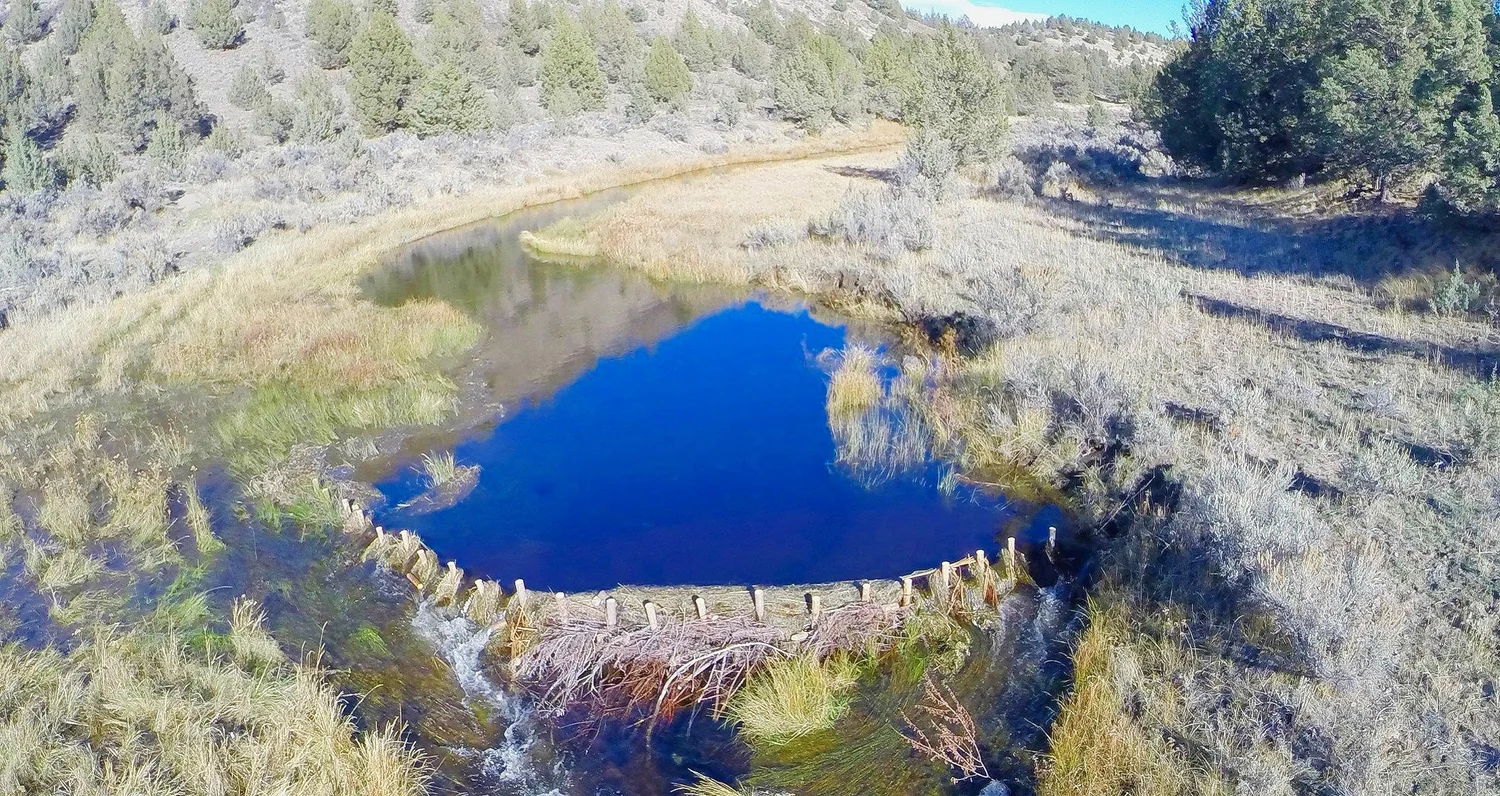 Low-Tech Methods to Restore Streams: A Factsheet — Partners in the Sage