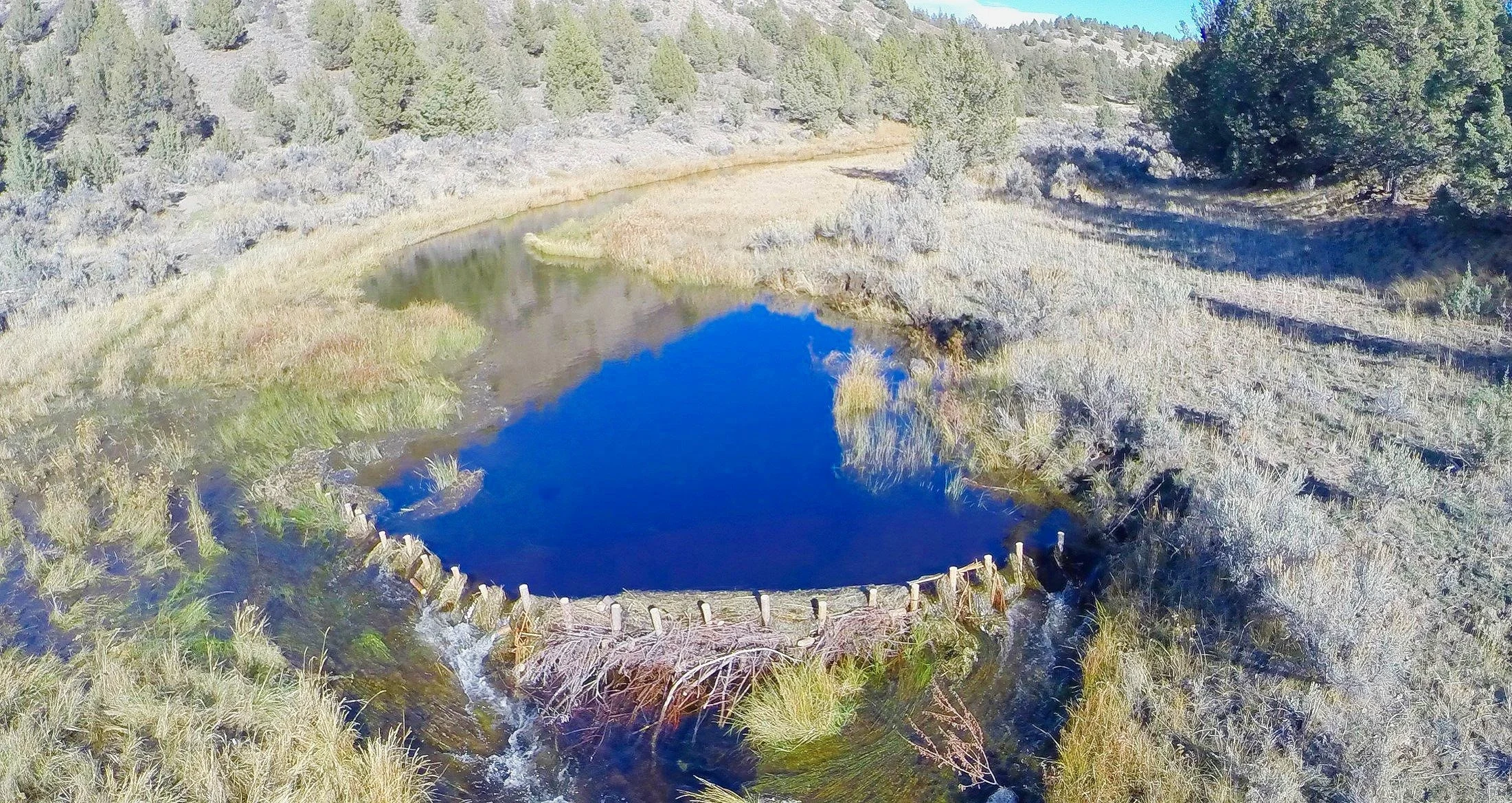 Low-Tech Methods to Restore Streams: A Factsheet — Partners in the Sage