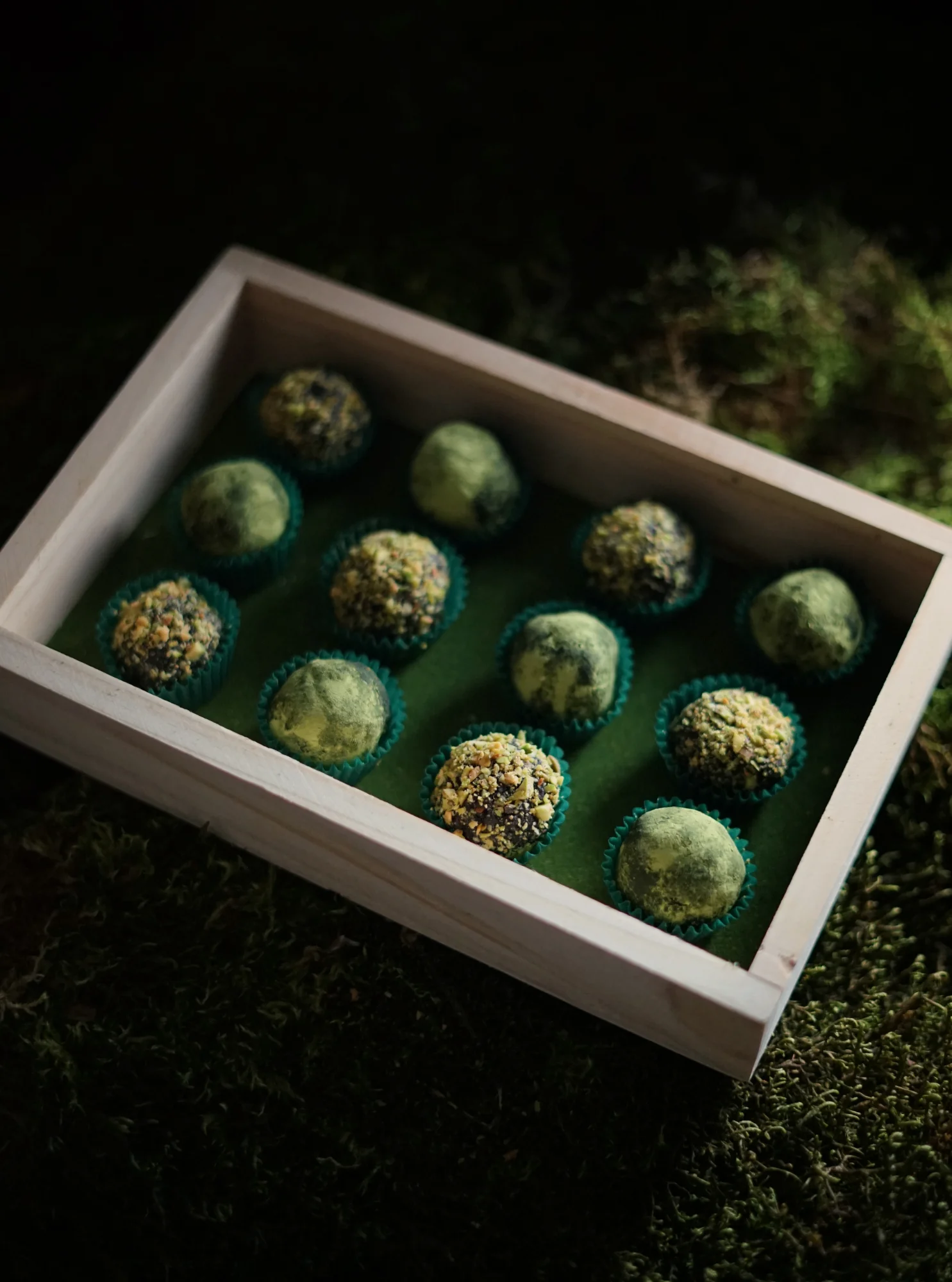 Candy Cap Moss Truffles: Mycelial Connections and Ancient Mosses — The ...