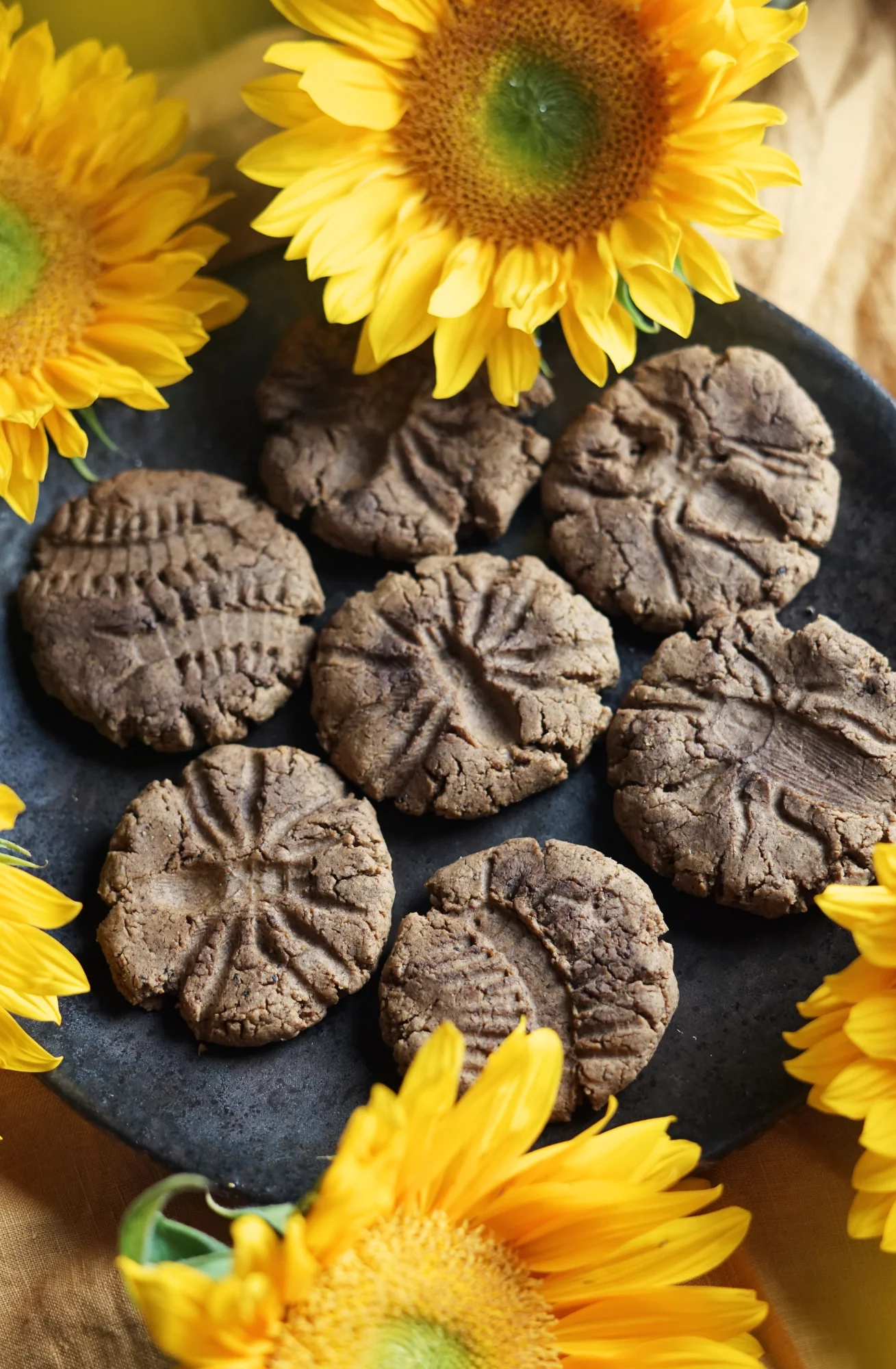 Amber Candy and Fossil Cookies: The Evolutionary Dance of Entomophagy ...