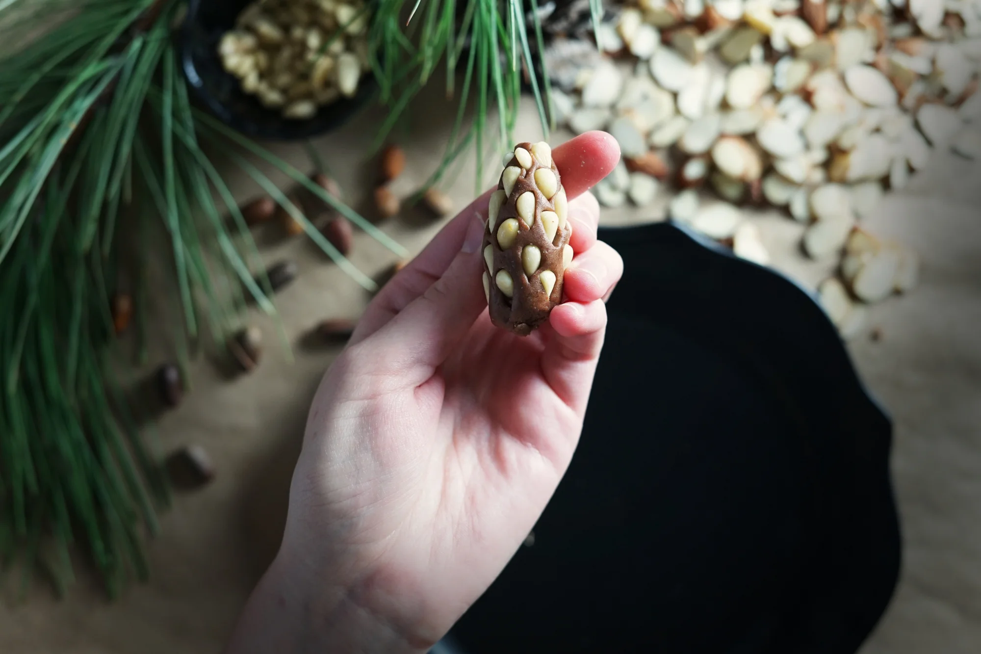 Pine Cone Confections and Hidden Wonders — The Wondersmith