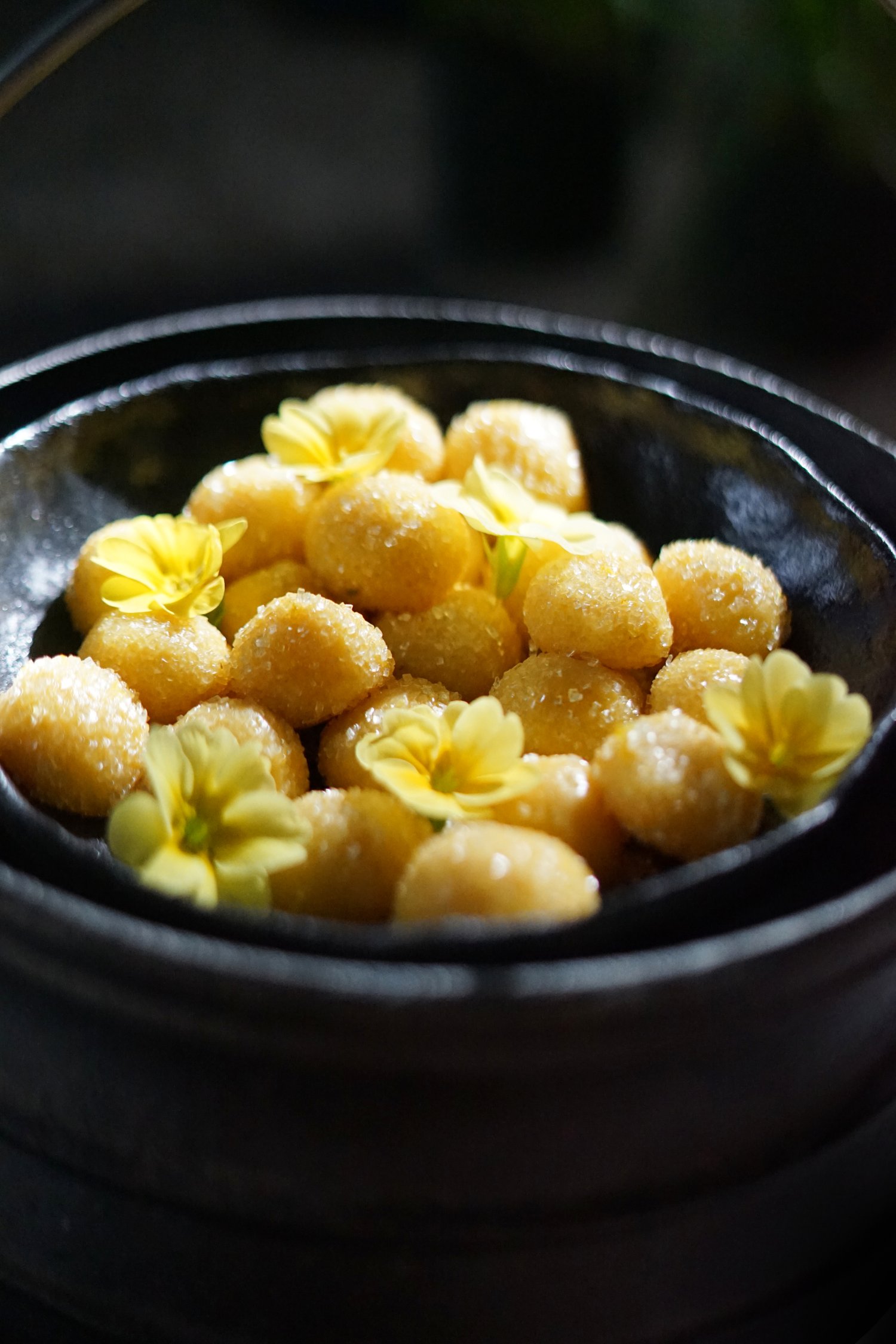 Primrose Yema and Spring Sunshine — The Wondersmith