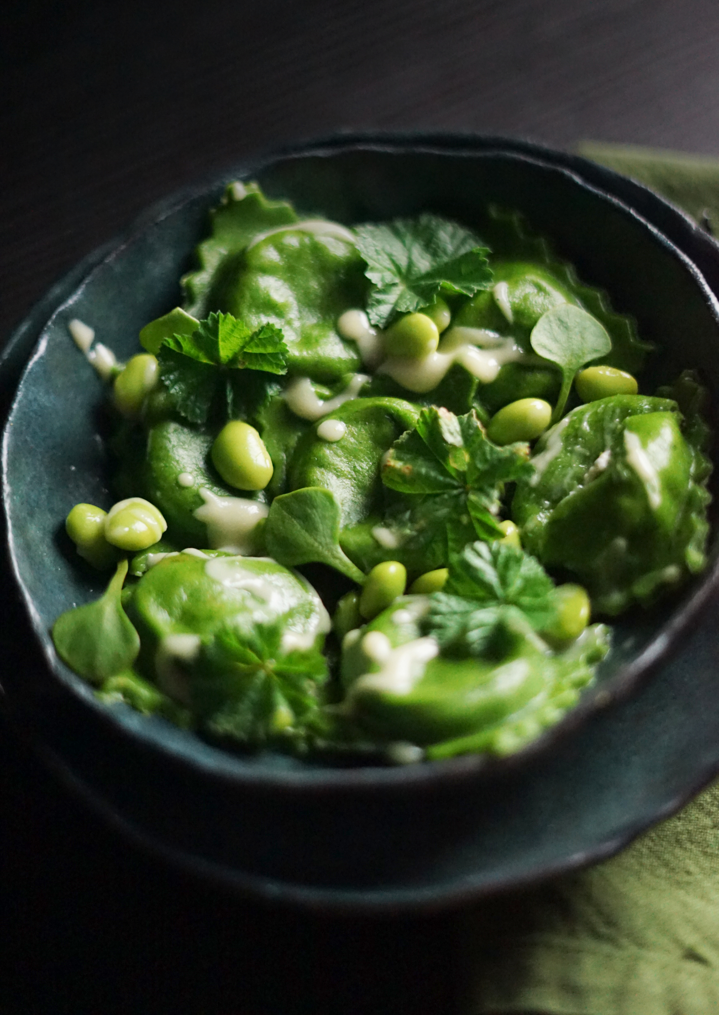 Dressing Up The Weeds With Wild Ravioli — The Wondersmith