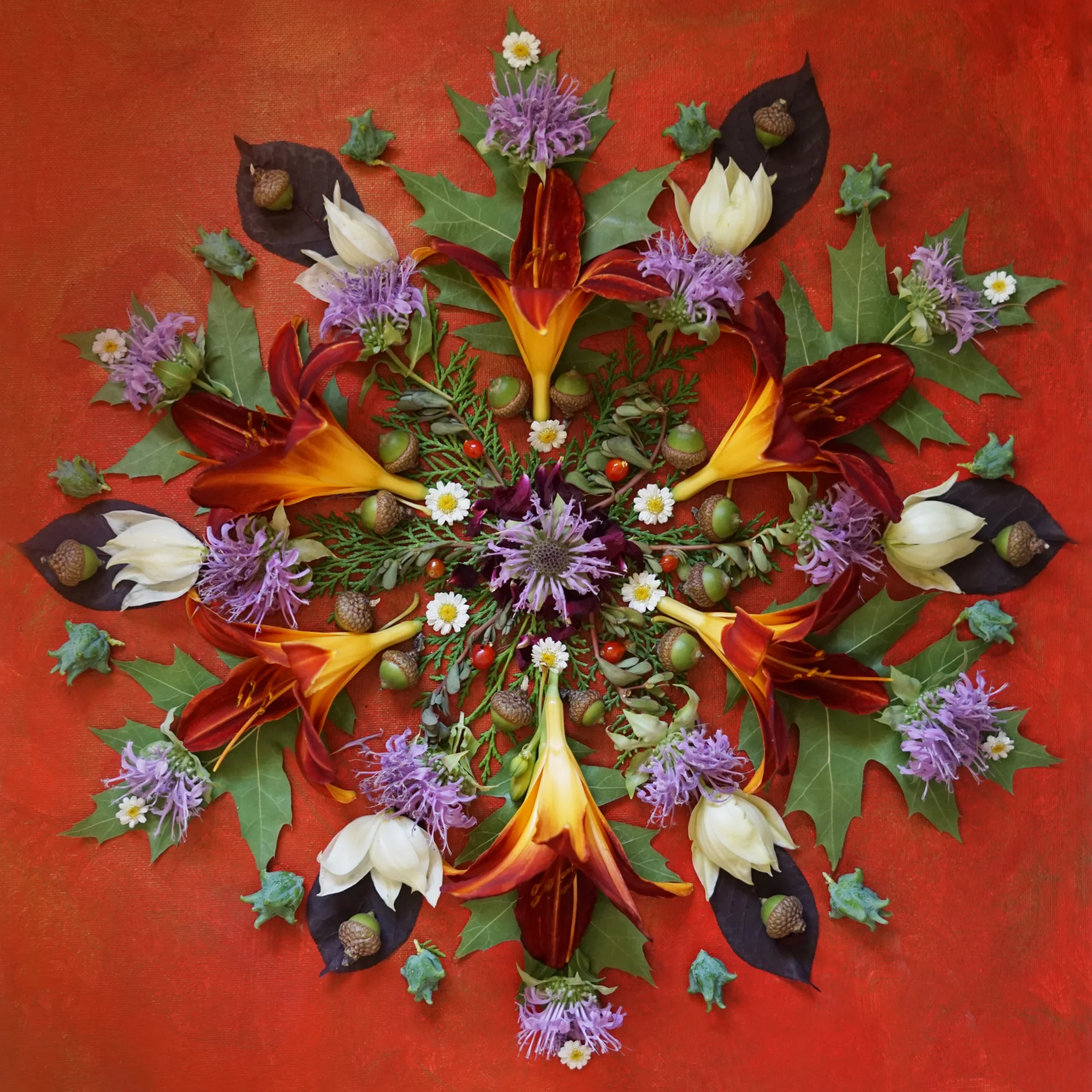 Reflections on July and a Colorful Mandala — The Wondersmith